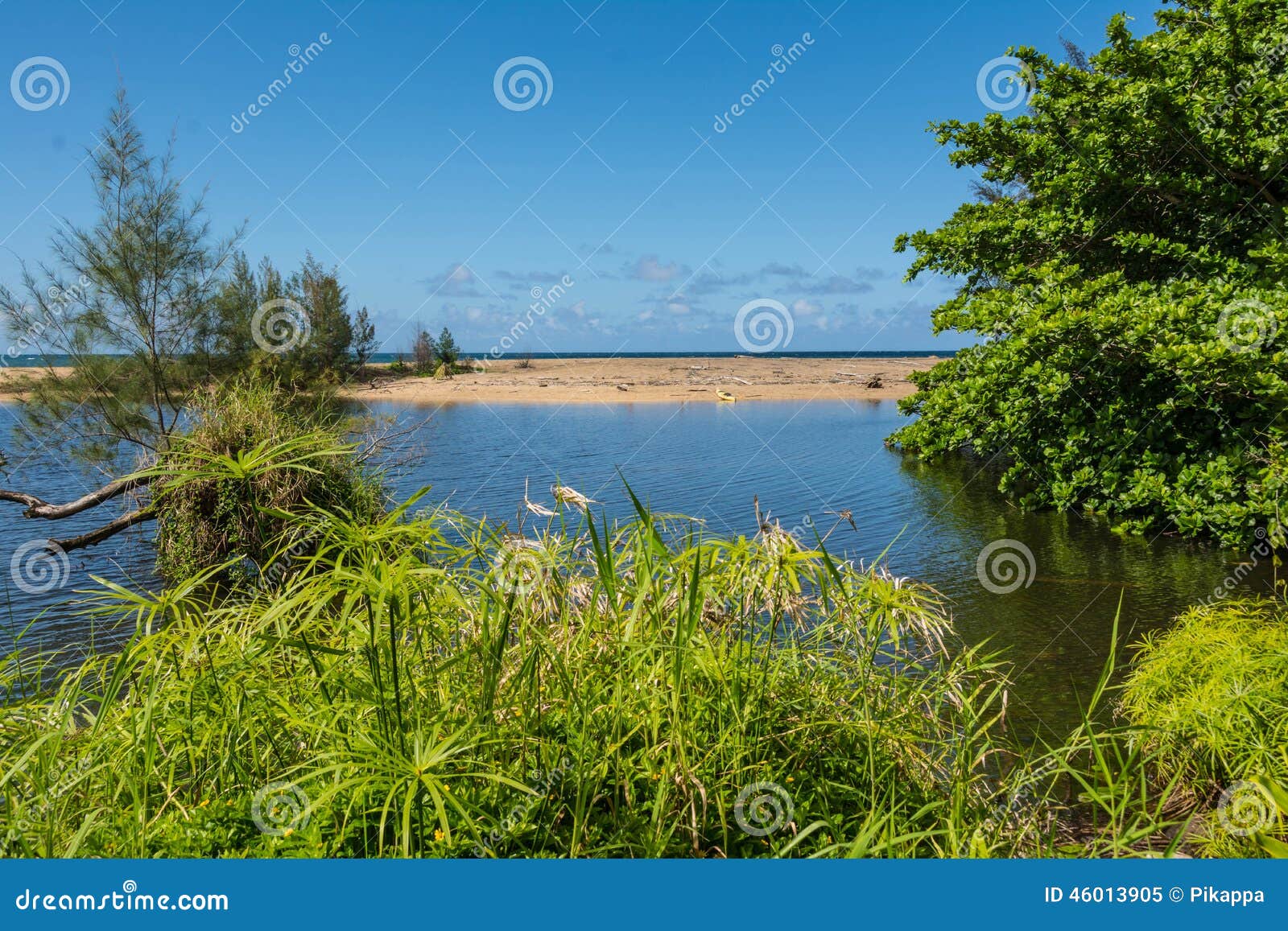 The Beach through the Vegetation in Kauai Stock Image - Image of bush ...