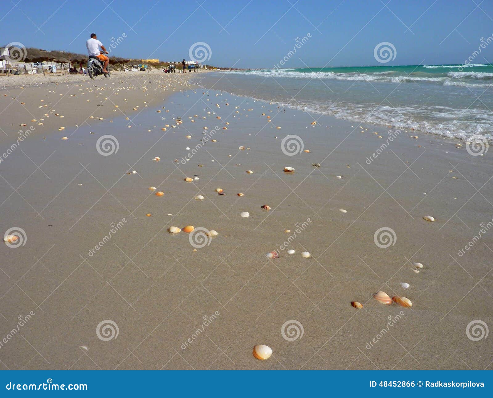 Beach stock photo. Image of tunisia, luxus, shells, tropical - 48452866