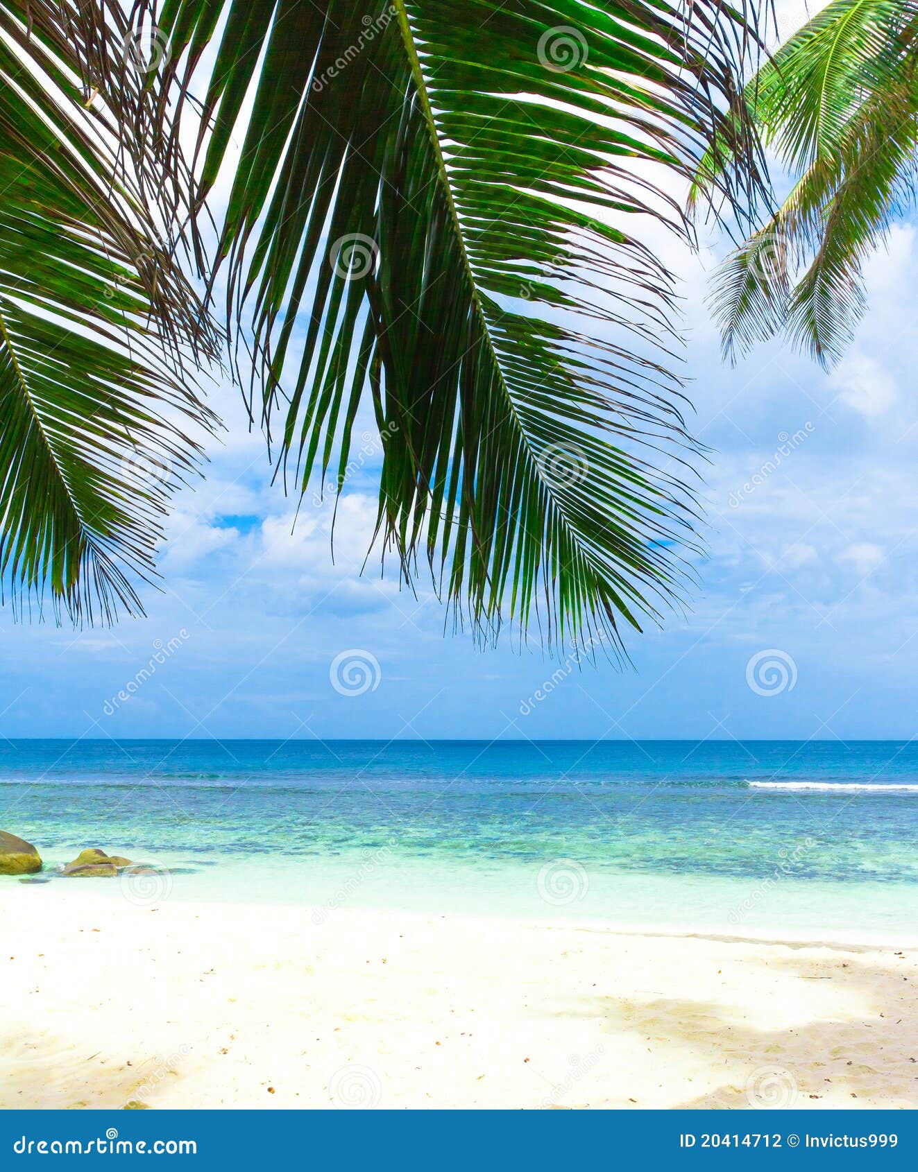 Beach view stock photo. Image of dash, natural, delicious - 20414712