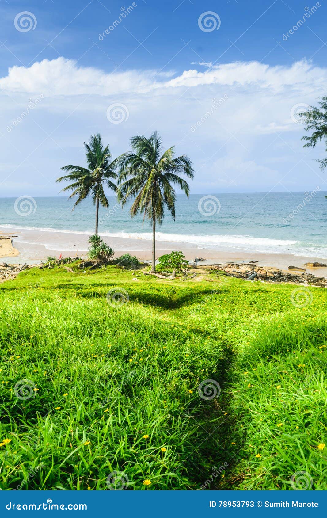Beach view on garden stock image. Image of vertical, blue - 78953793