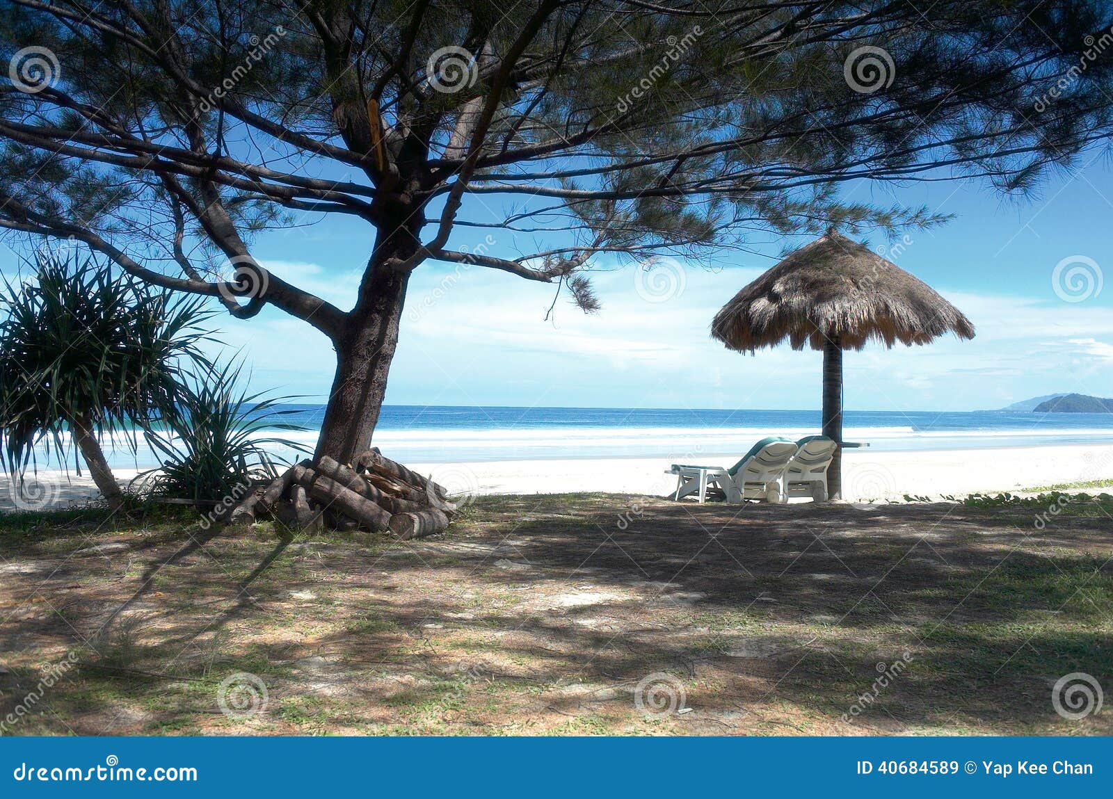 Beach View stock image. Image of sunny, tree, holiday - 40684589