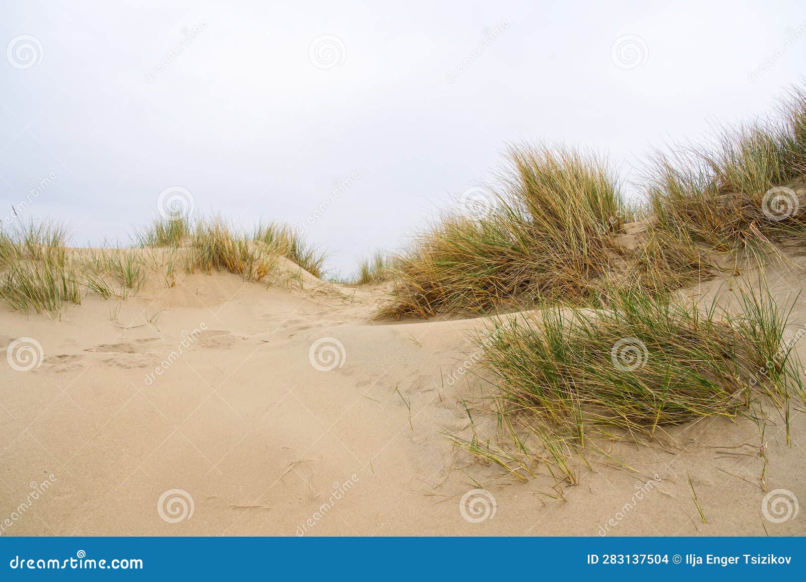 Path Through Sand Dunes, Studland Nature Reserve Stock Photography ...