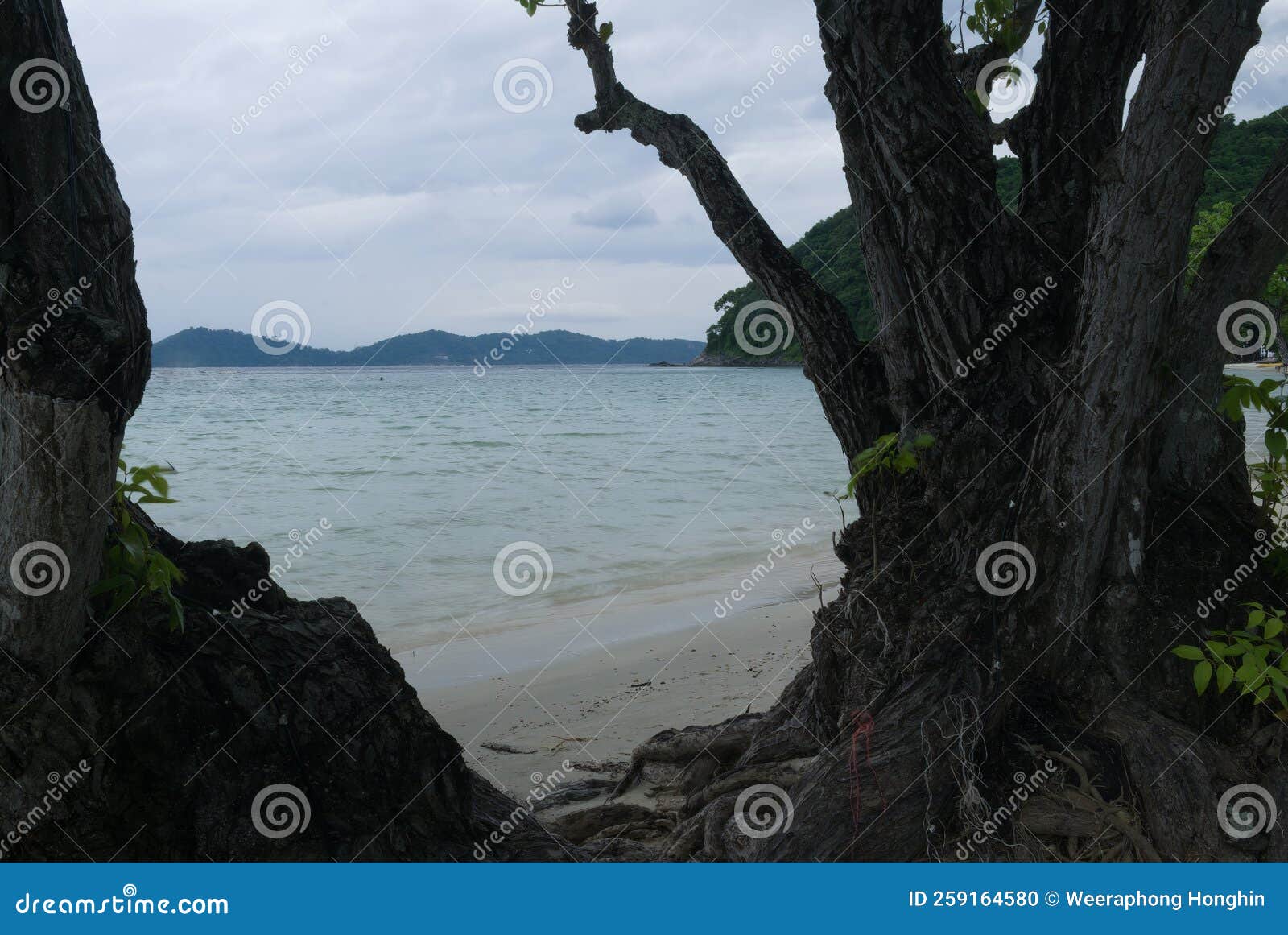 Beach view on tree frame stock photo. Image of landscape - 259164580