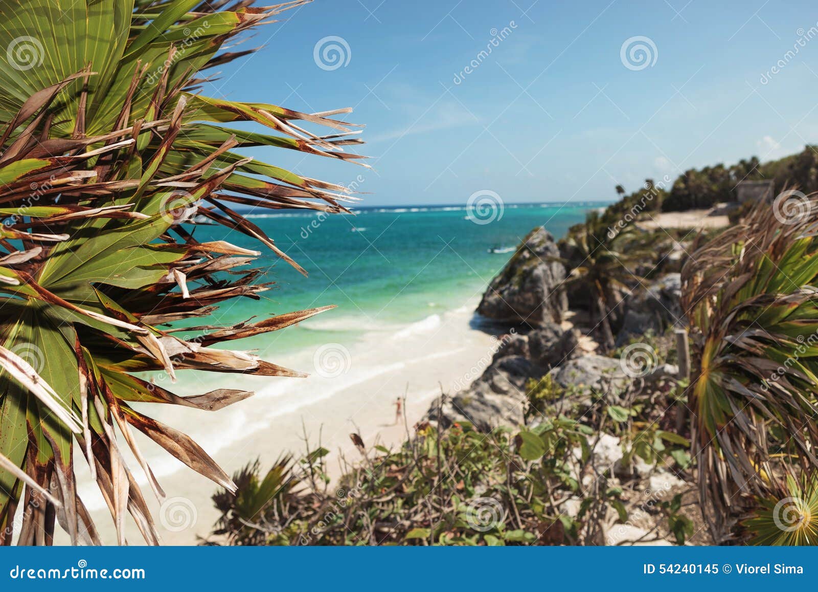 Beach view from Tulum. stock image. Image of zama, blue - 54240145