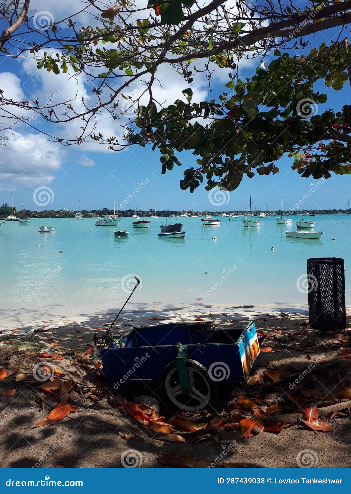 Beach View Under a Tree during Summer Day Outdoor Stock Photo - Image ...