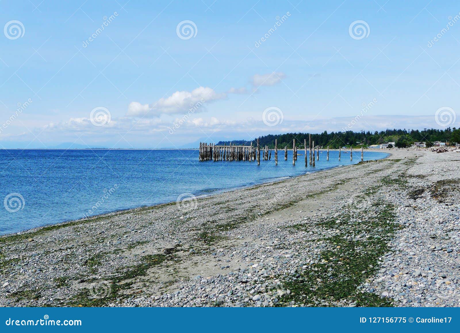 Beach View of Whatcom County Park Stock Image - Image of bellingham ...