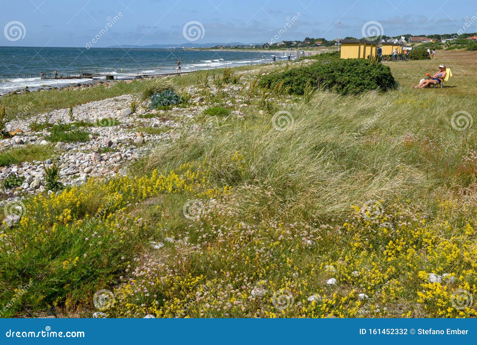 The Beach of Viken on Sweden Editorial Photography - Image of color ...
