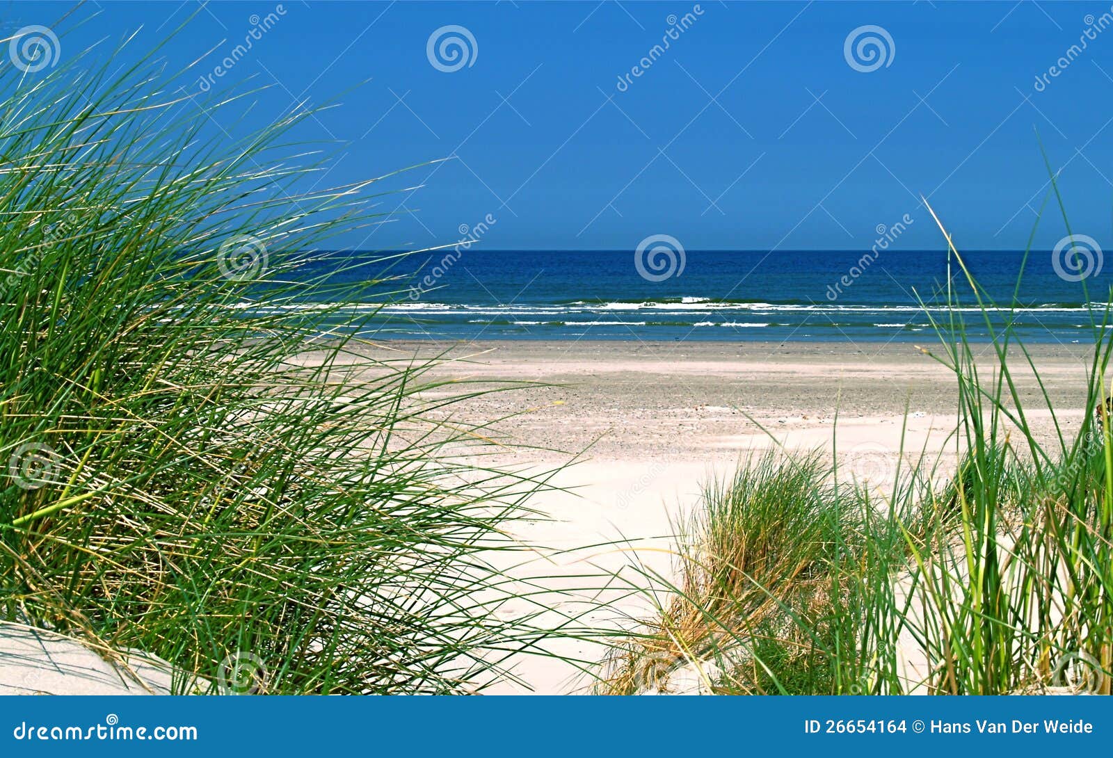 Beach on Wadden island stock photo. Image of grass, terschelling - 26654164