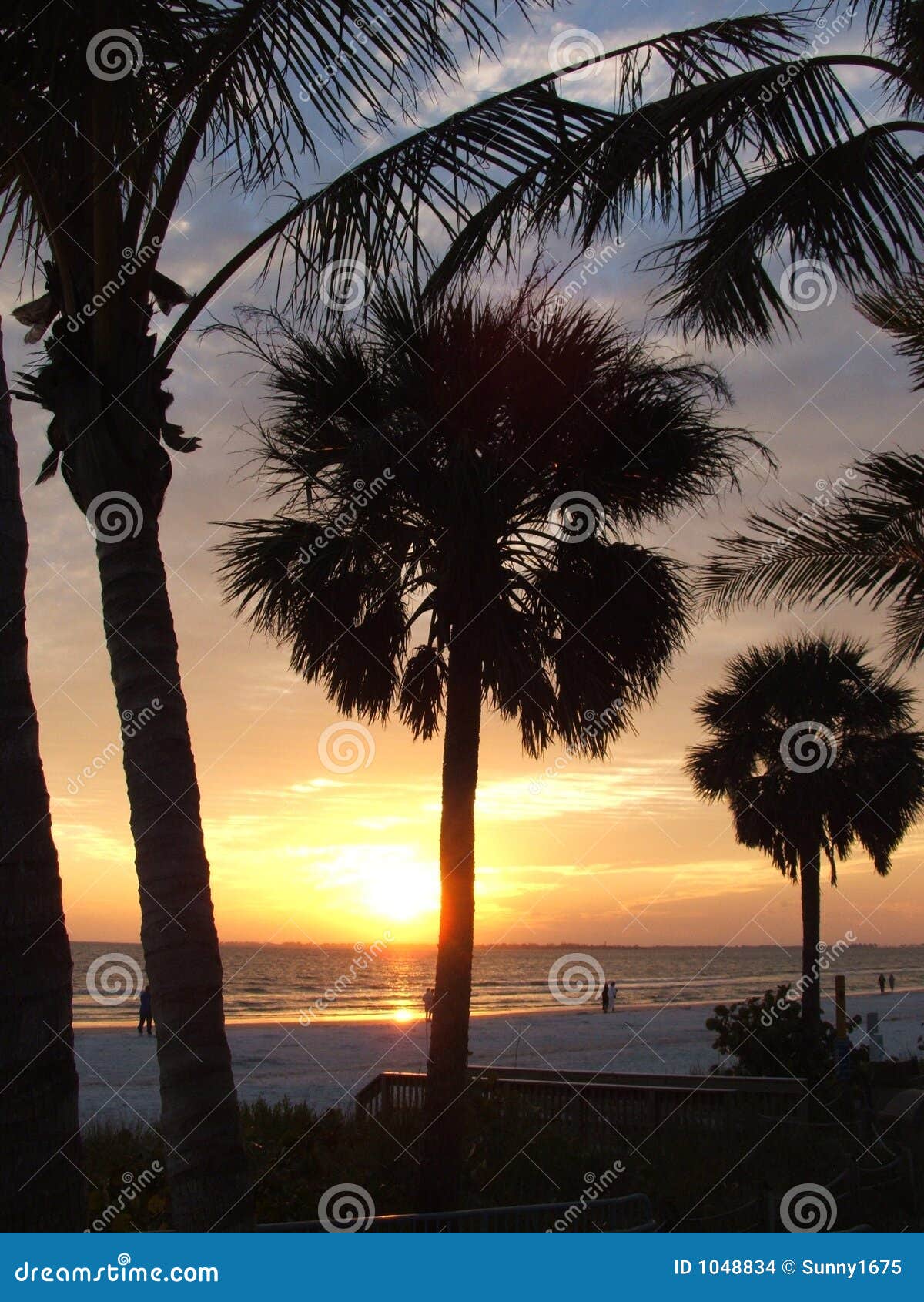 Beach walk stock photo. Image of people, florida, walking - 1048834