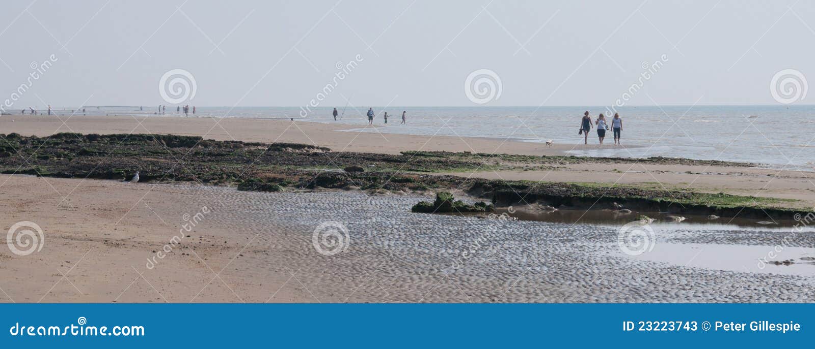 Beach walk stock image. Image of people, black, picturesque - 23223743
