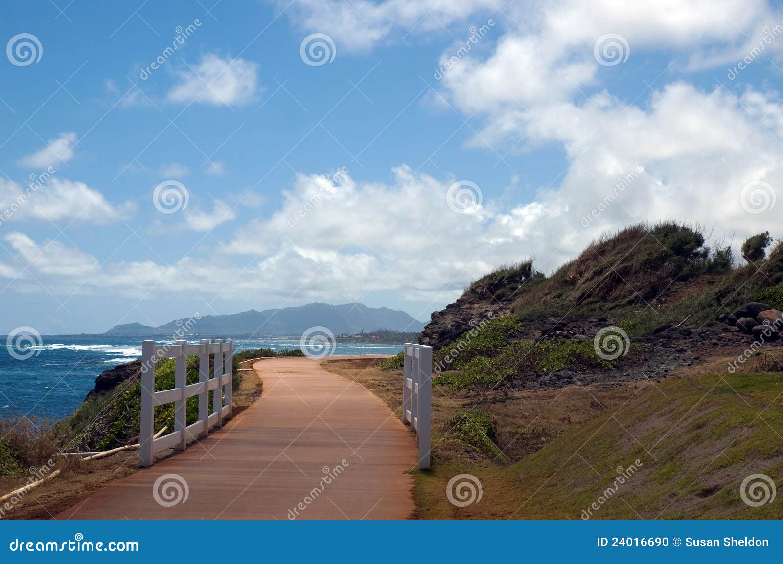 Beach walk way stock photo. Image of lovely, wonderful - 24016690