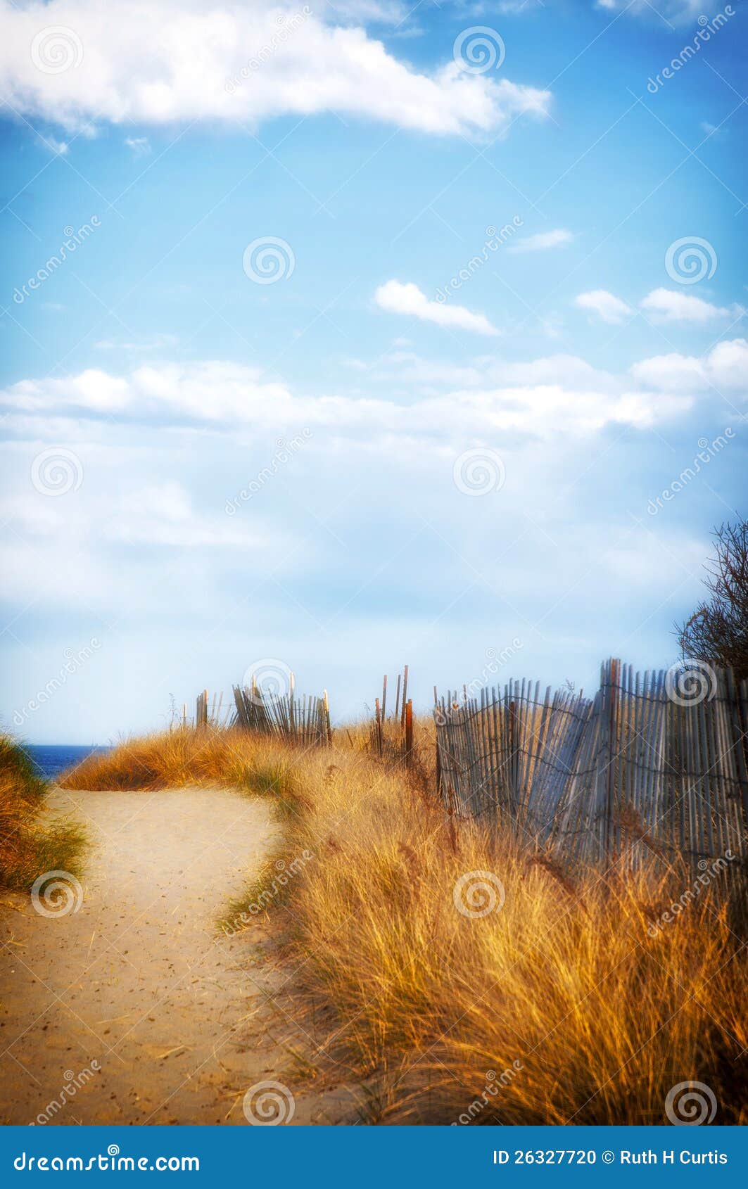 Beach Walkway stock photo. Image of ocean, grass, lines - 26327720