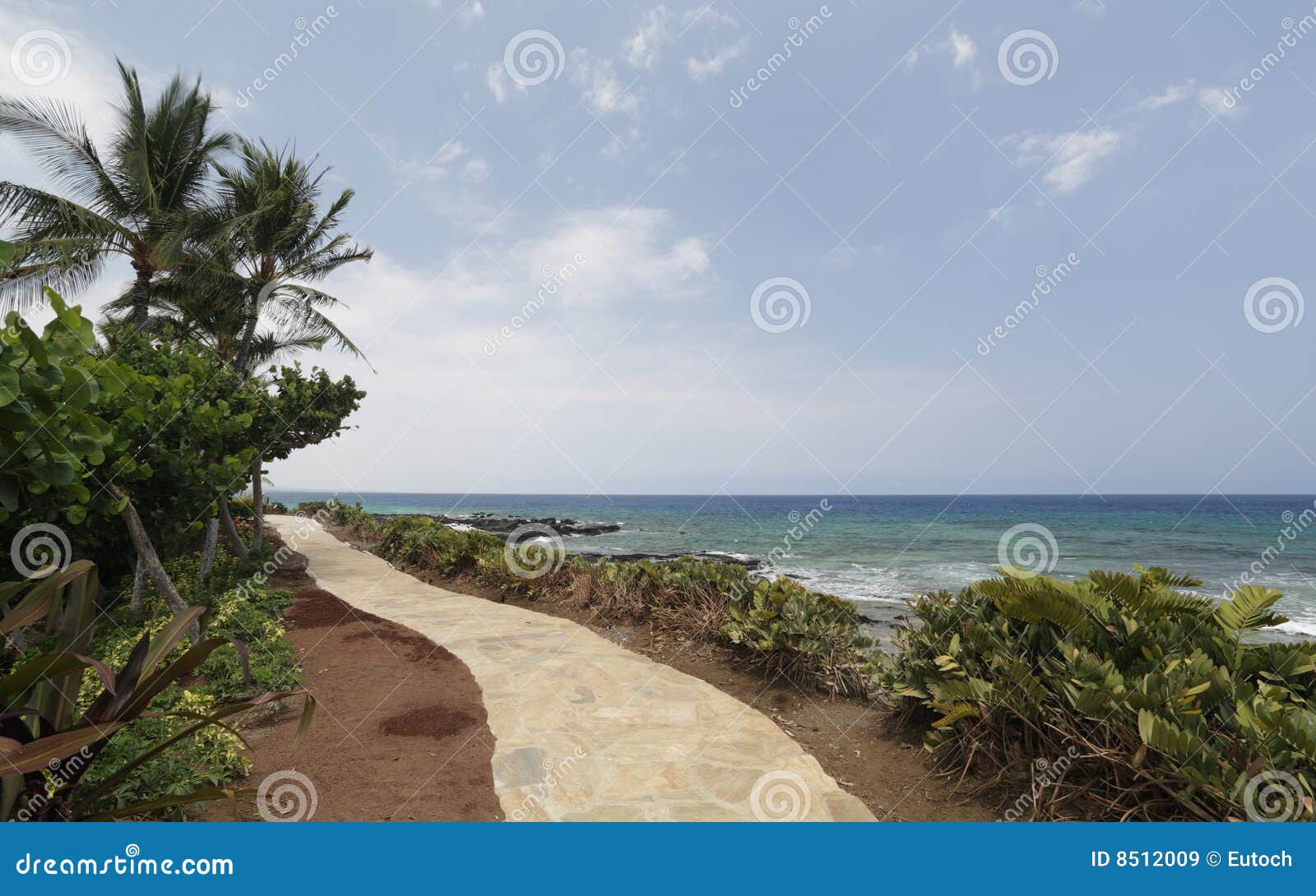 Beach Walkway, Hawaii stock image. Image of dreamy, scenic - 8512009