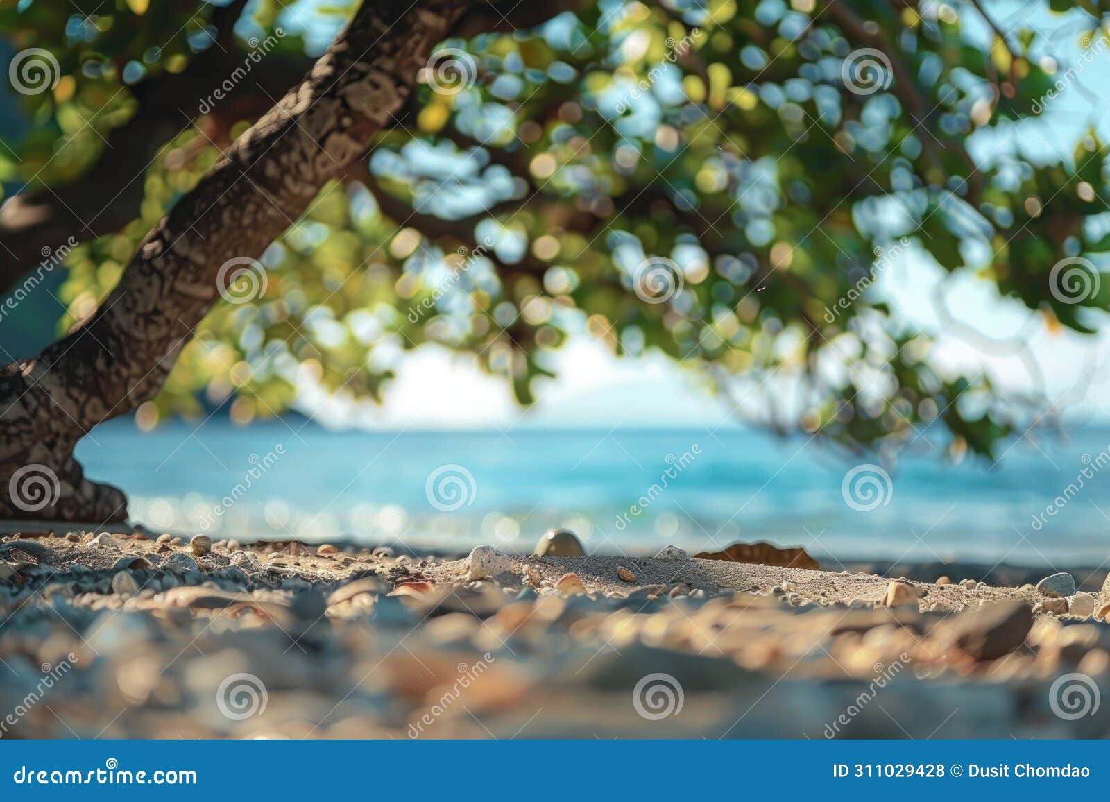 Beach Wallpaper Background, Focus Point To Foreground and Midground ...