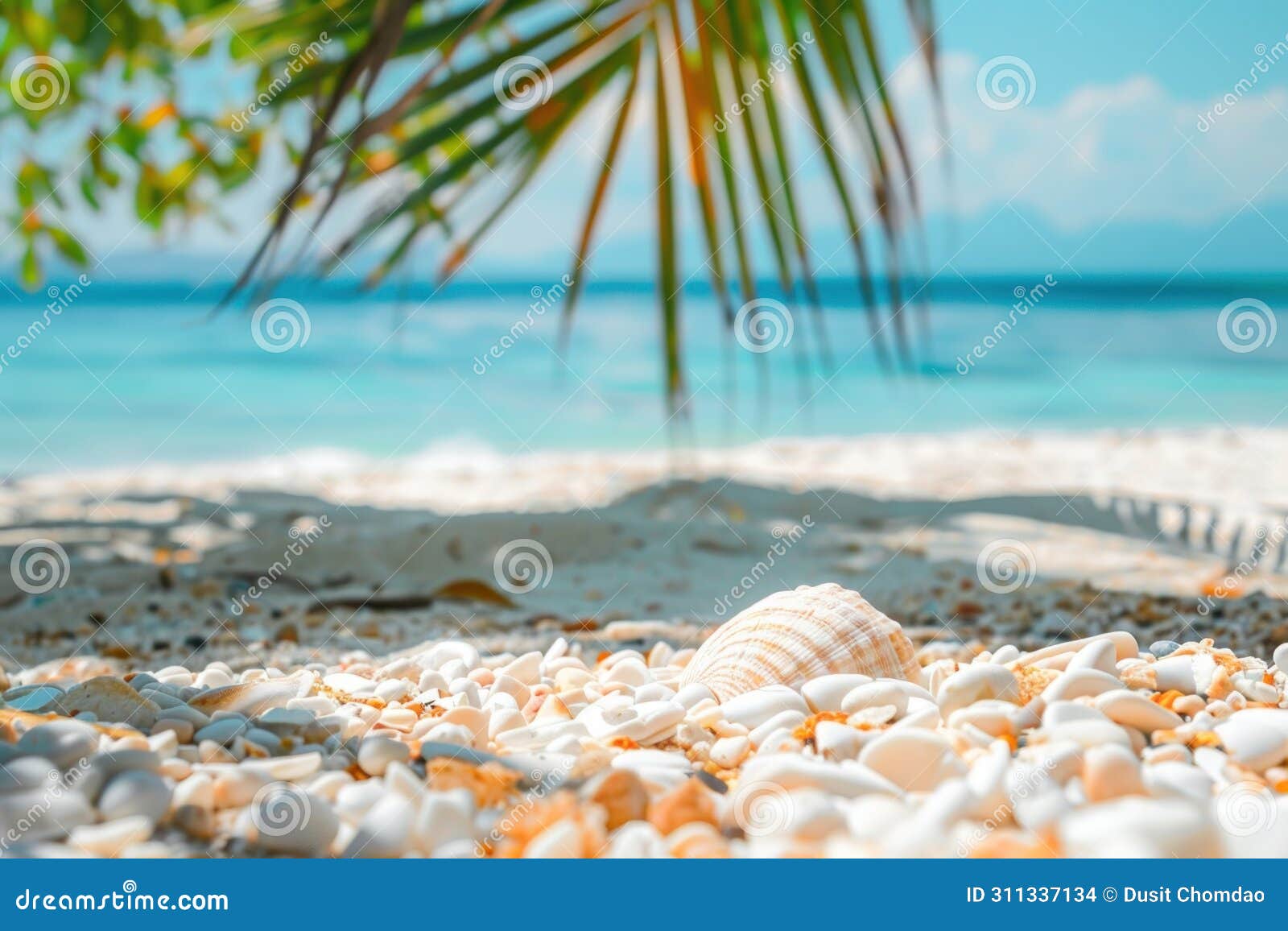 Beach Wallpaper Background, Focus Point To Foreground and Midground ...