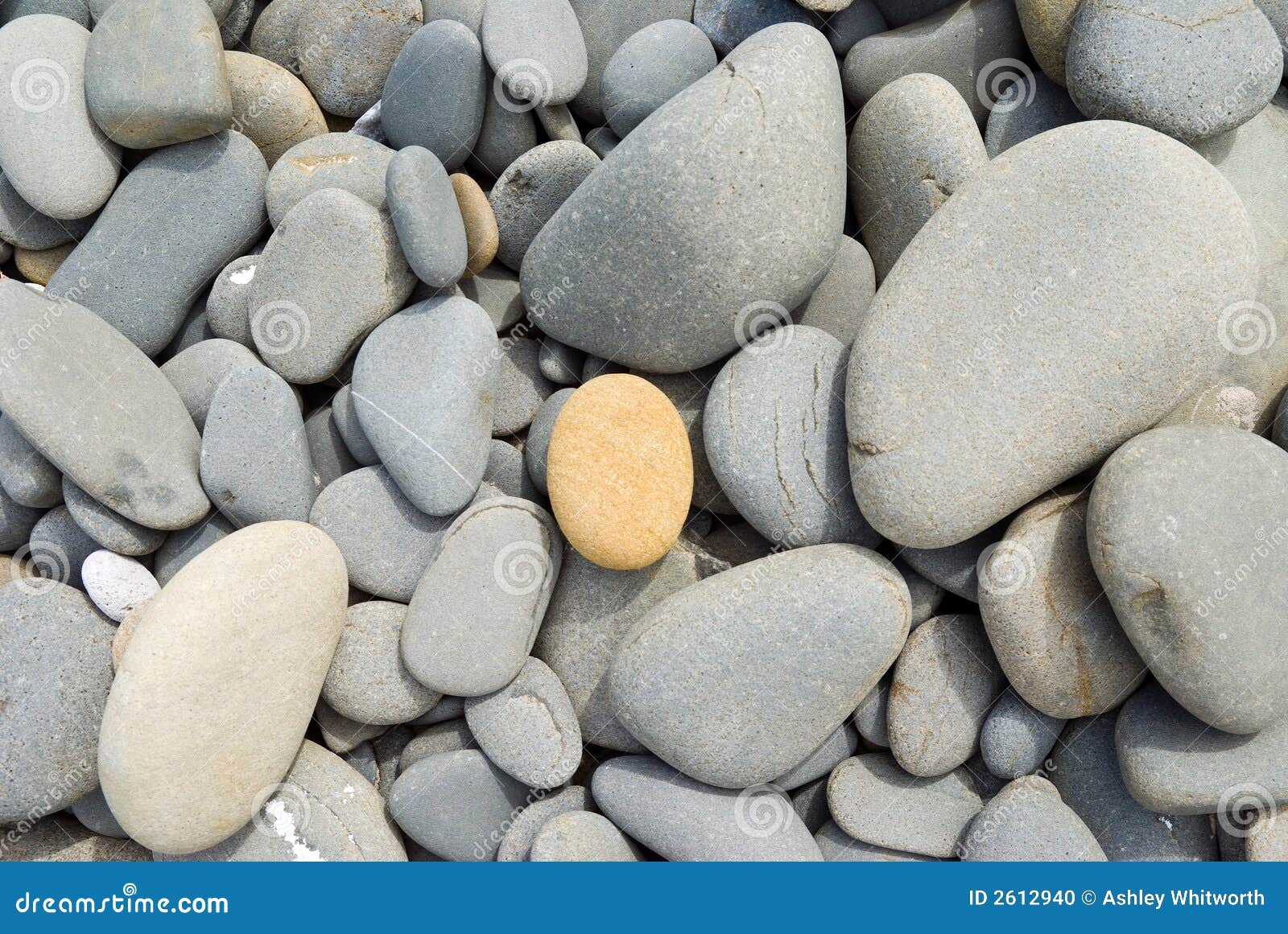 Beach-washed pebbles stock photo. Image of beach, nature - 2612940