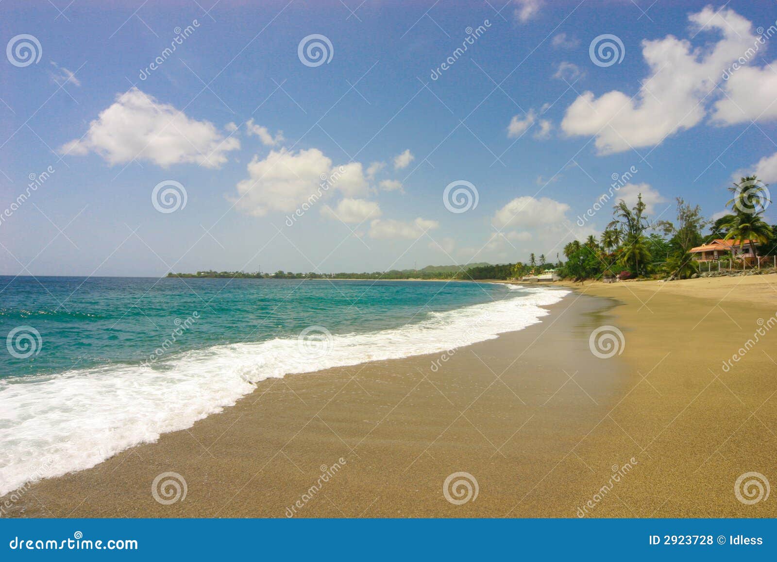 Beach and water stock photo. Image of nature, paradise - 2923728