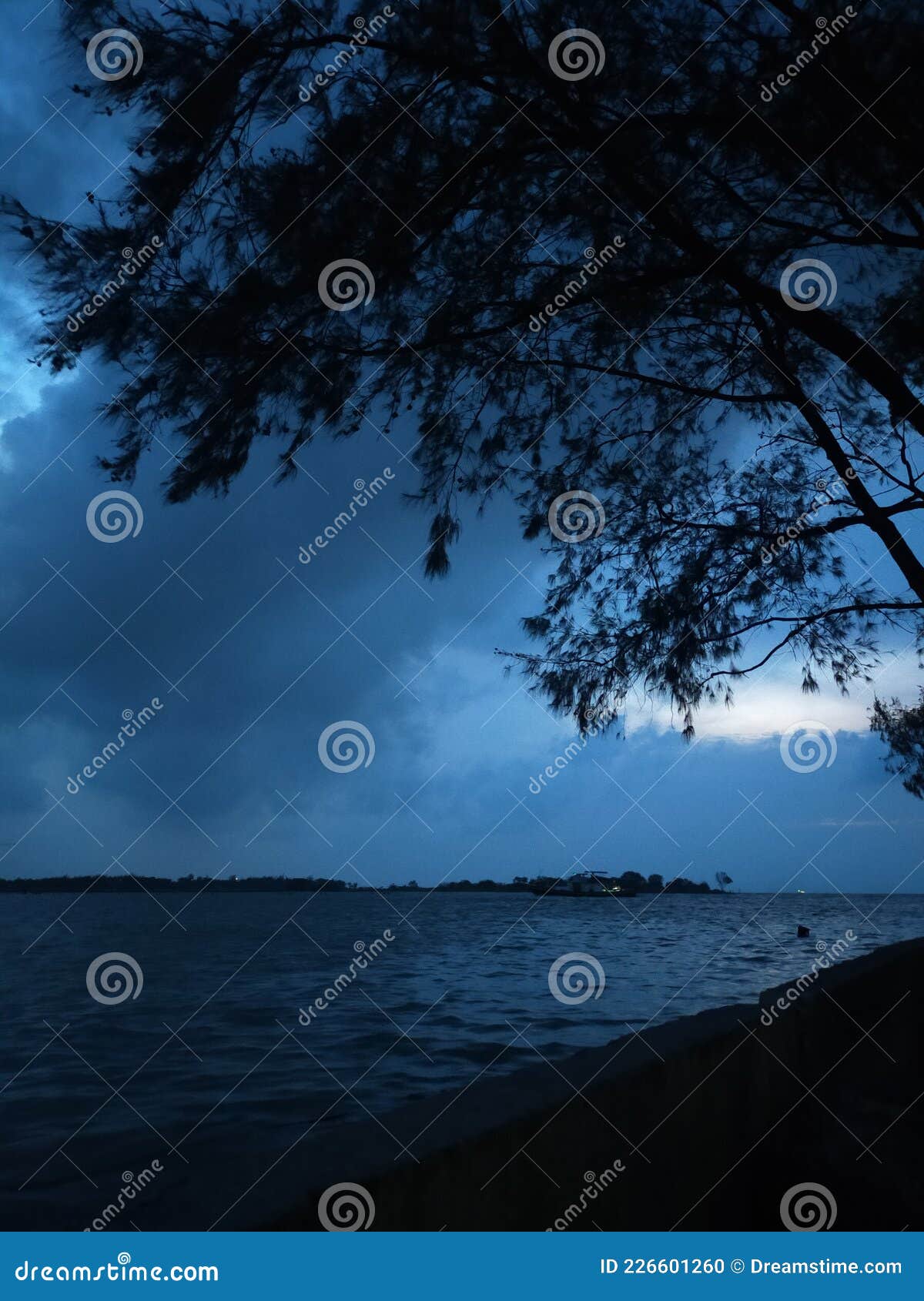Beach, Water, Landscape Picture, Forest Stock Photo - Image of ...