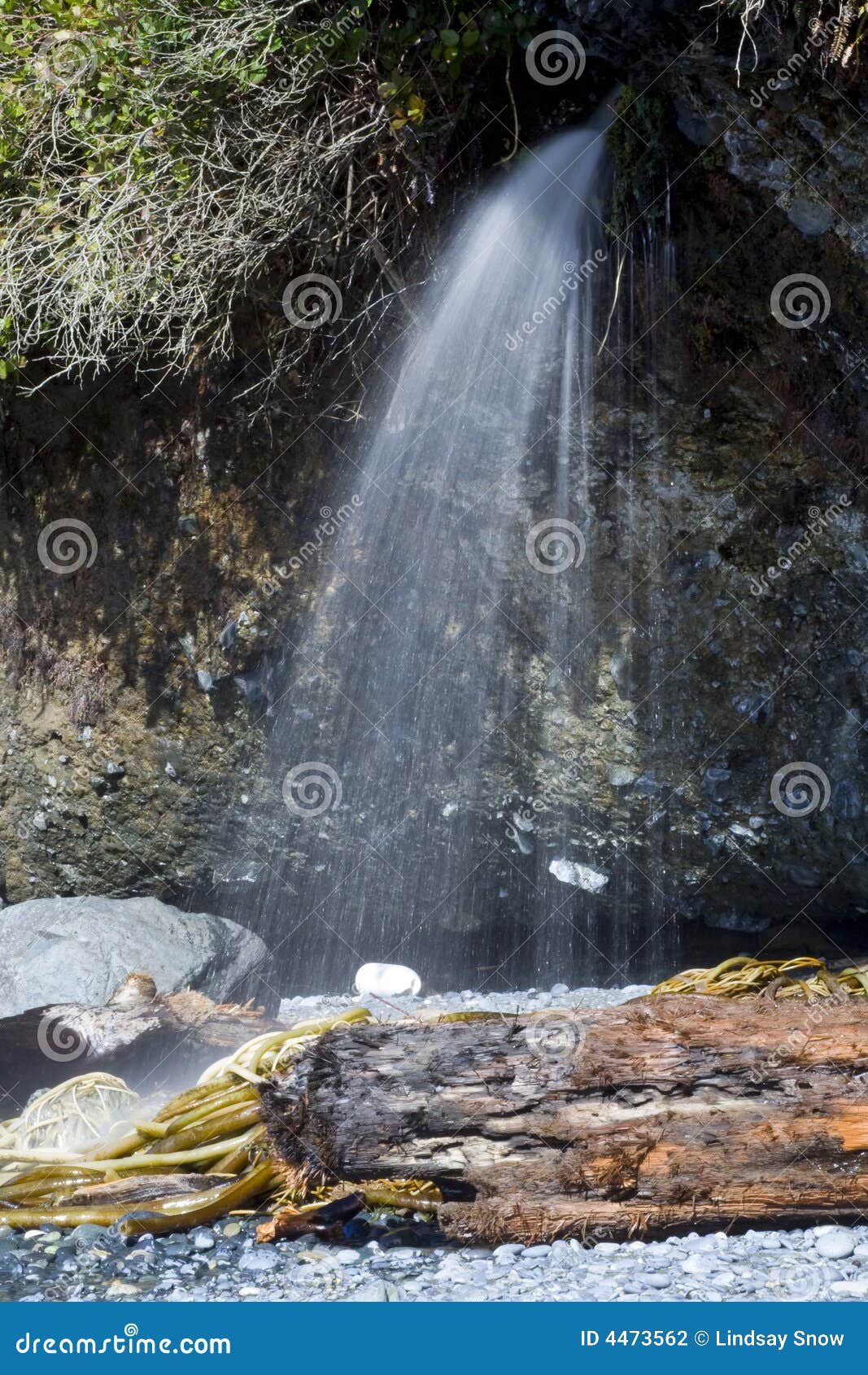 Beach waterfall stock photo. Image of hike, beautiful - 4473562