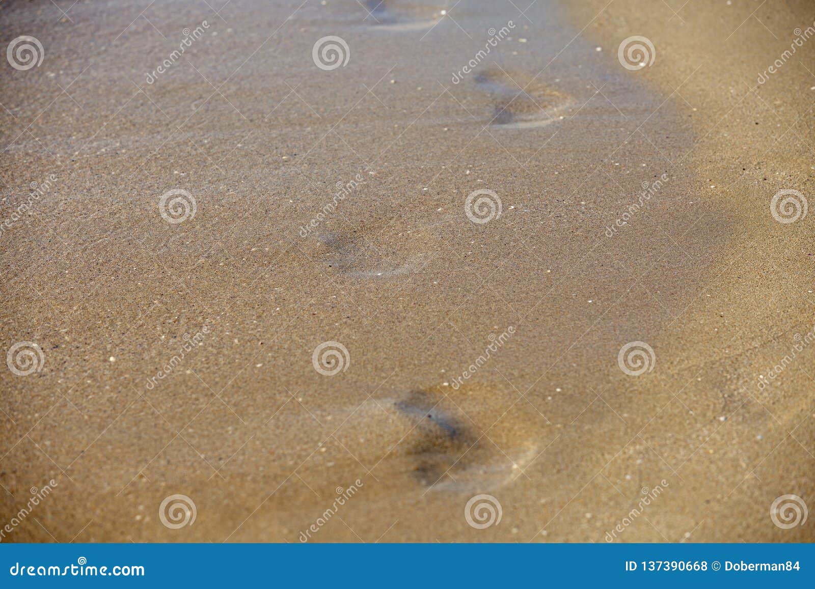 Beach, Wave and Footprints at Sunset Time Stock Photo - Image of nature ...