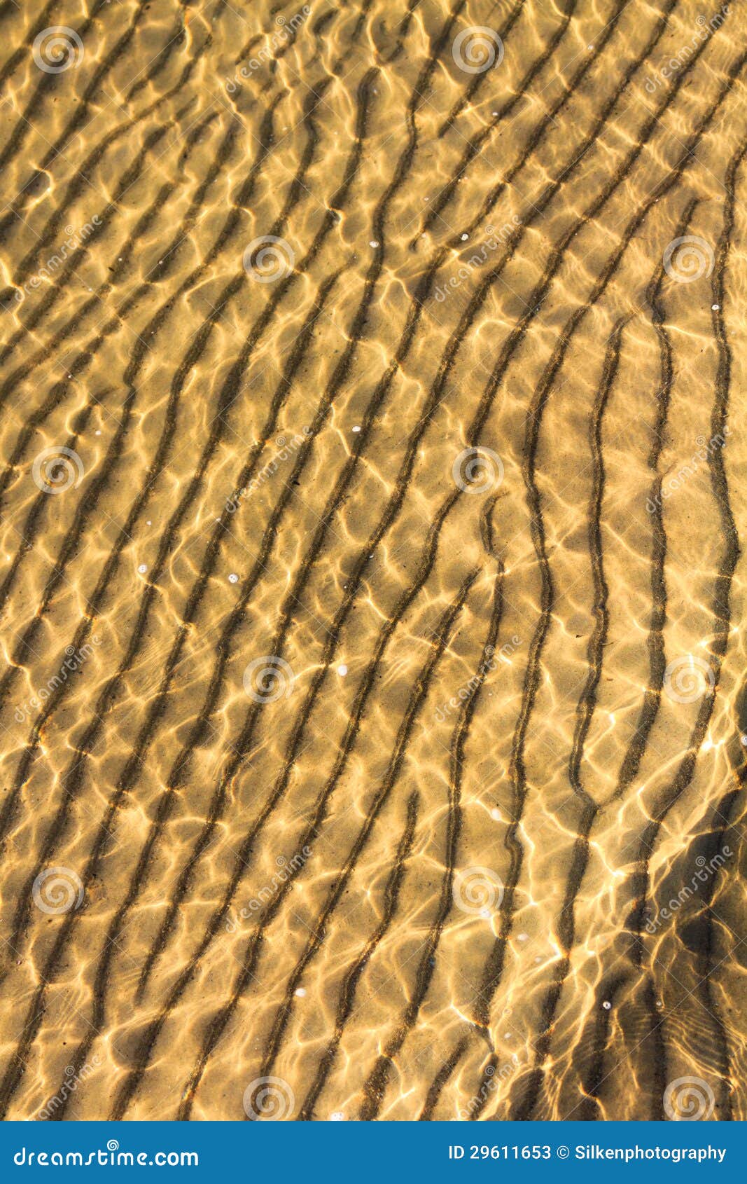 Beach wave ripples stock image. Image of australia, nature - 29611653