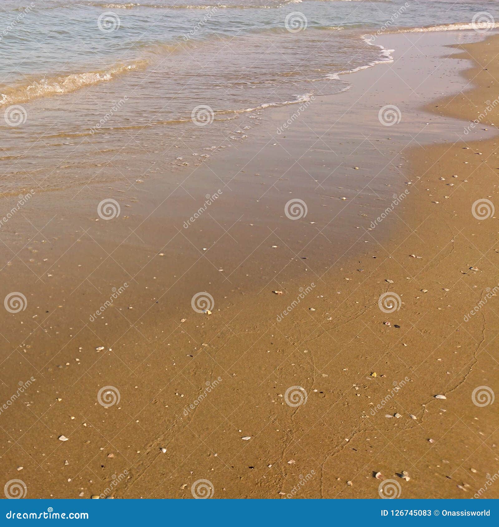 Beach and waves stock image. Image of golden, shallow - 126745083