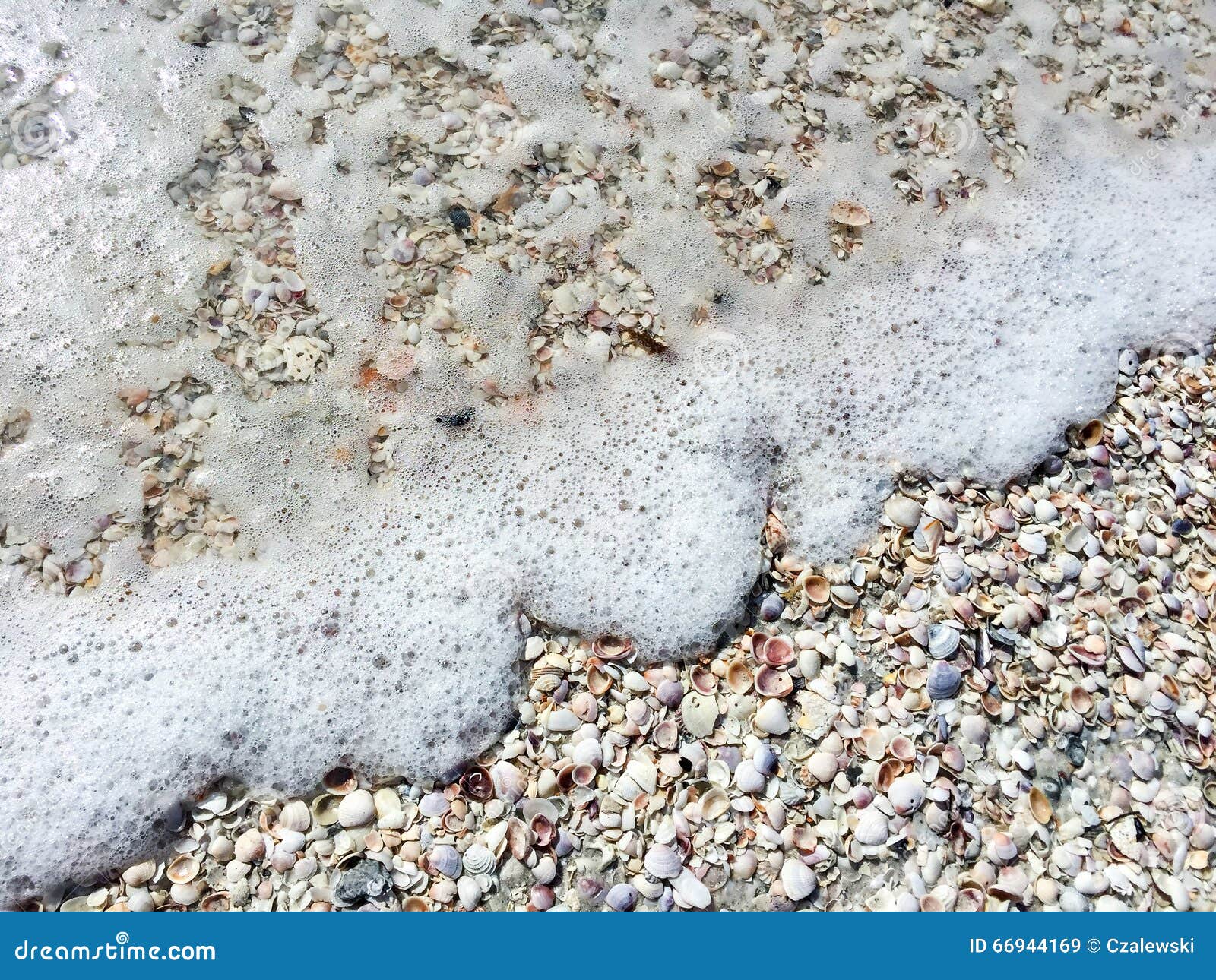 Beach Waves Shells Sea Shell Ocean Background Stock Image - Image of ...