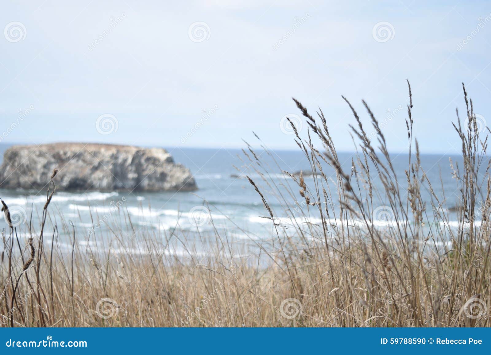 Beach through the Weeds stock photo. Image of ocean, rocks - 59788590