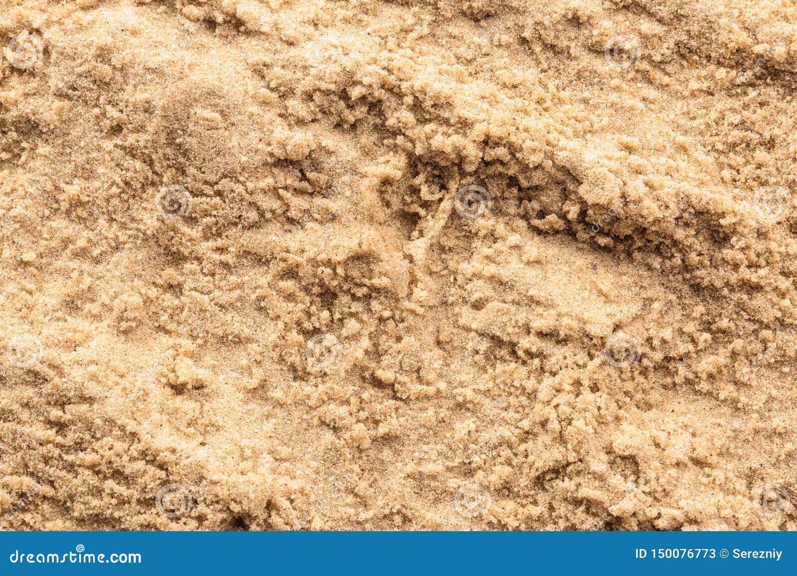 Beach wet sand, closeup stock image. Image of drift - 150076773