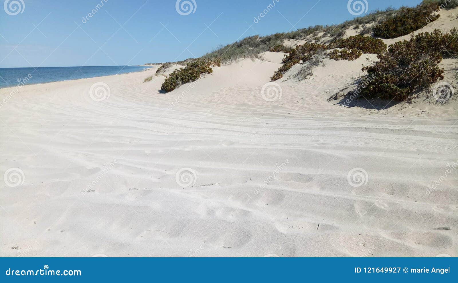 Beach white like snow stock image. Image of beach, white - 121649927