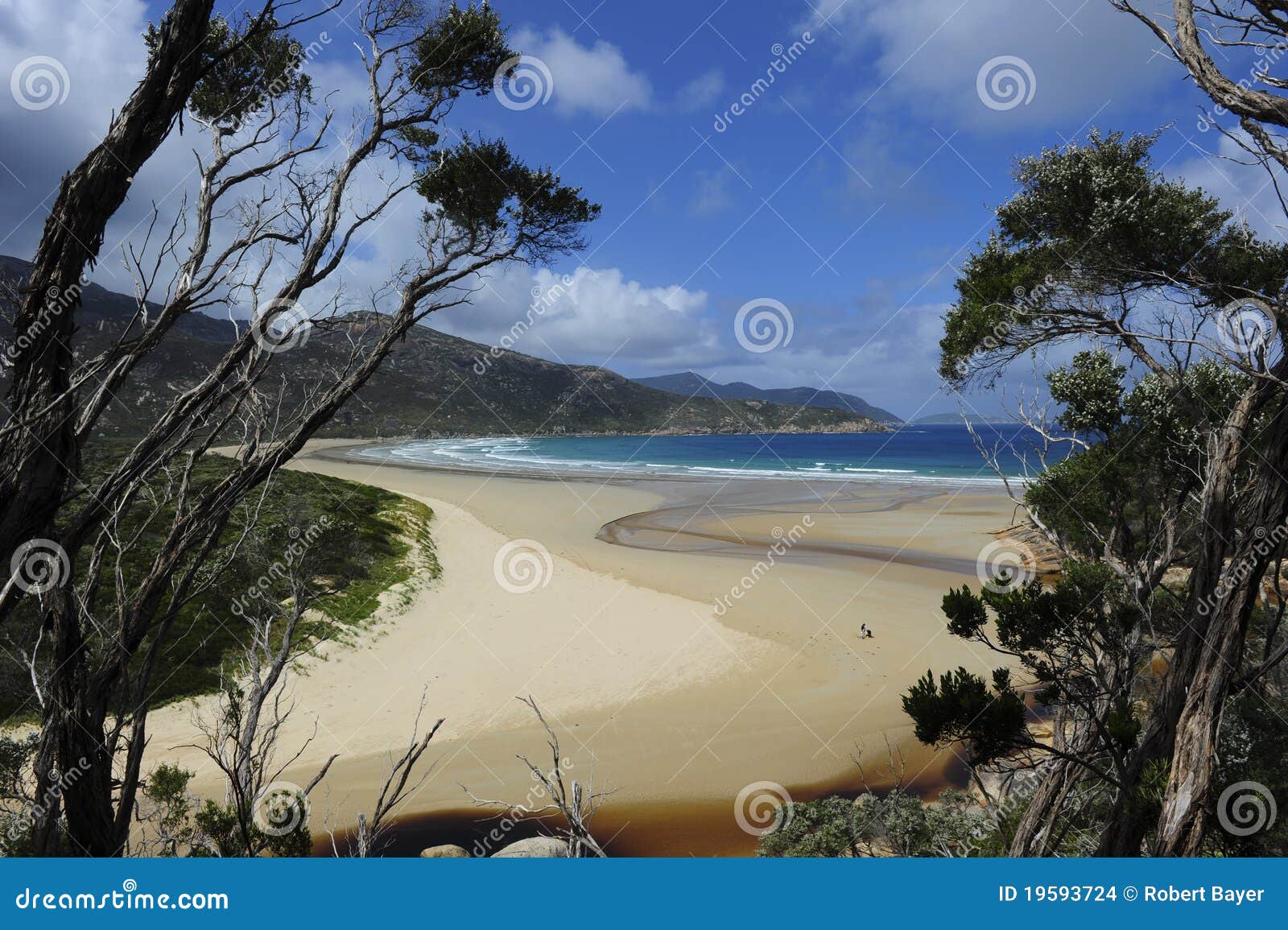 Beach in Wilsons Promontory NP Australia Stock Photo - Image of holiday ...