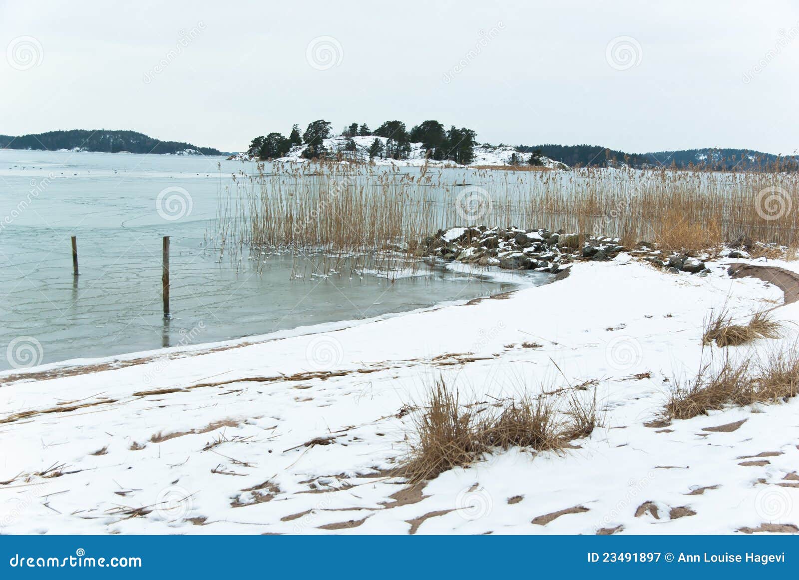 Beach in winter stock image. Image of snow, edge, baltic - 23491897