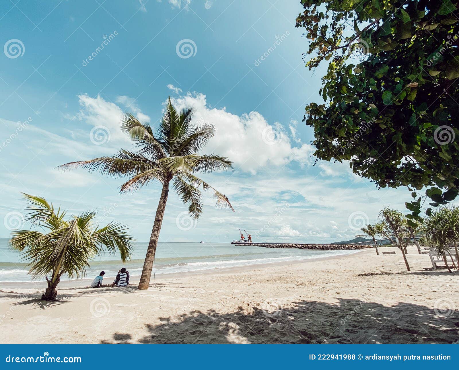 Beach wisdom stock photo. Image of wisdom, stay, beach - 222941988