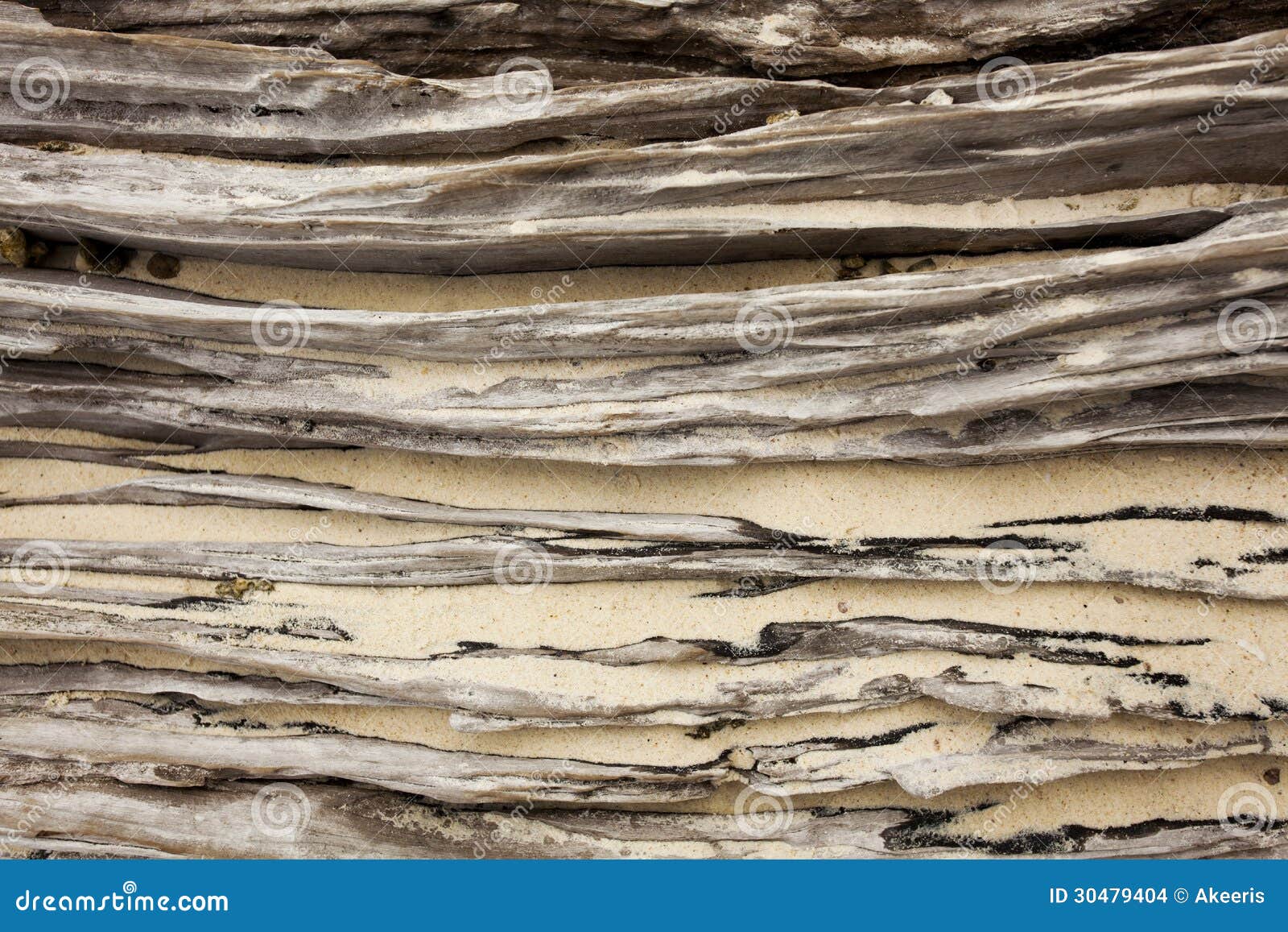 Beach wood log stock photo. Image of tree, skin, texture - 30479404