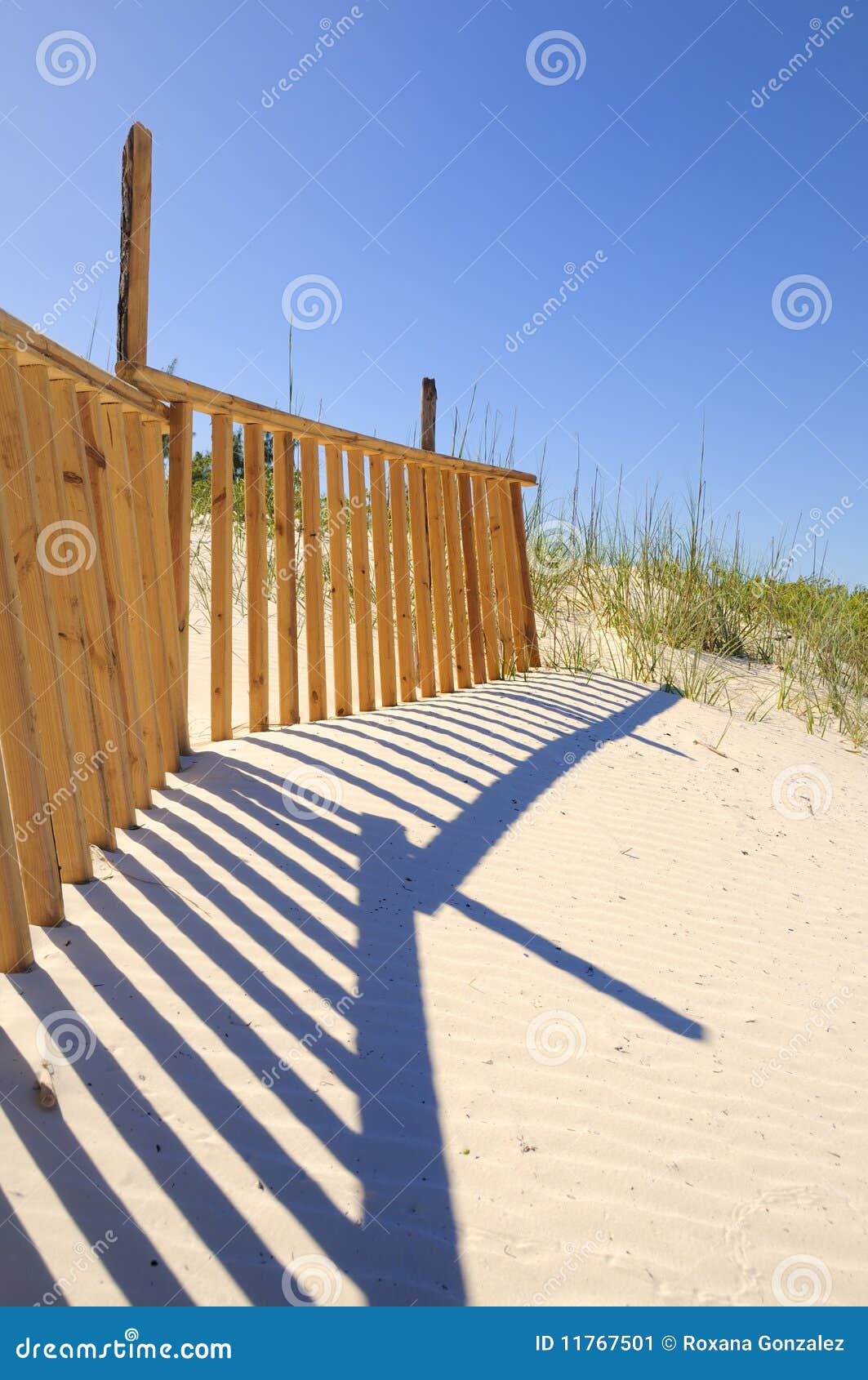 Beach with wooden fence stock image. Image of caribbean - 11767501