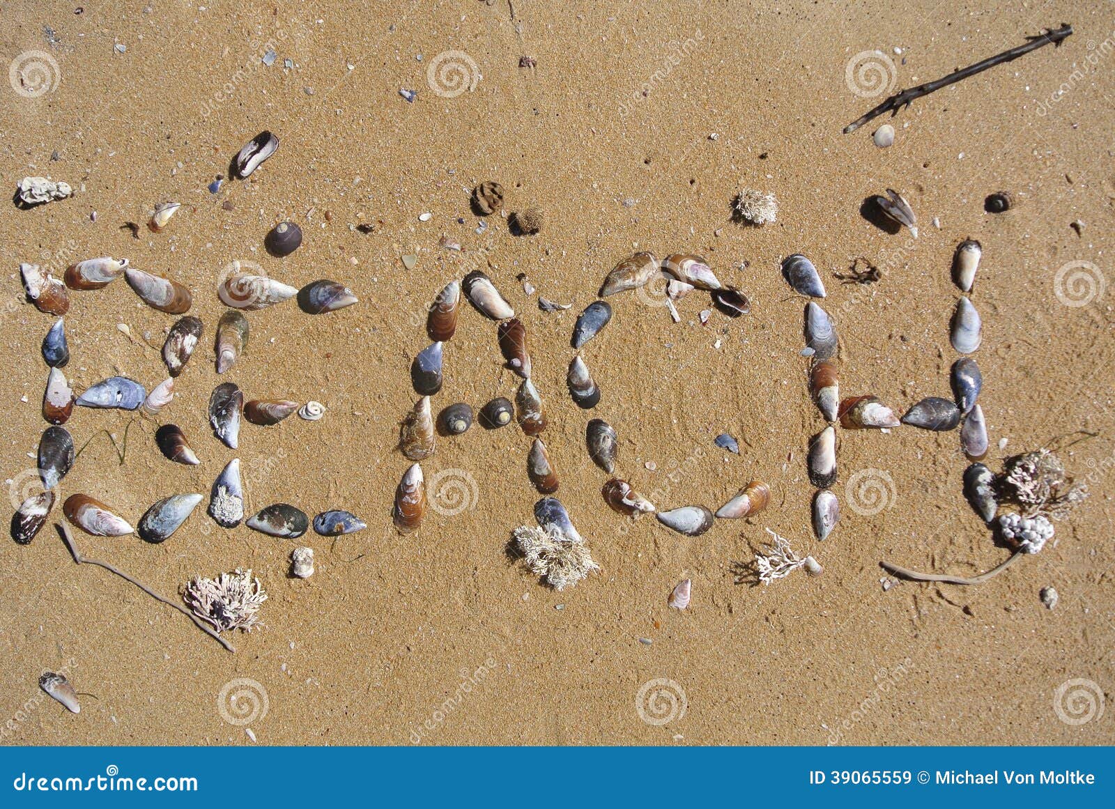 Beach stock image. Image of seashells, beach, text, seaweed - 39065559