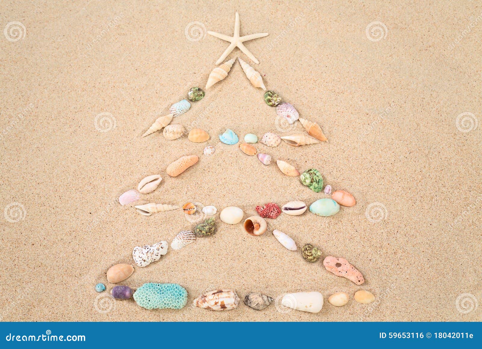 Beach Xmas Concept on Sand As a Christmas Tree with Shells Stock Photo ...