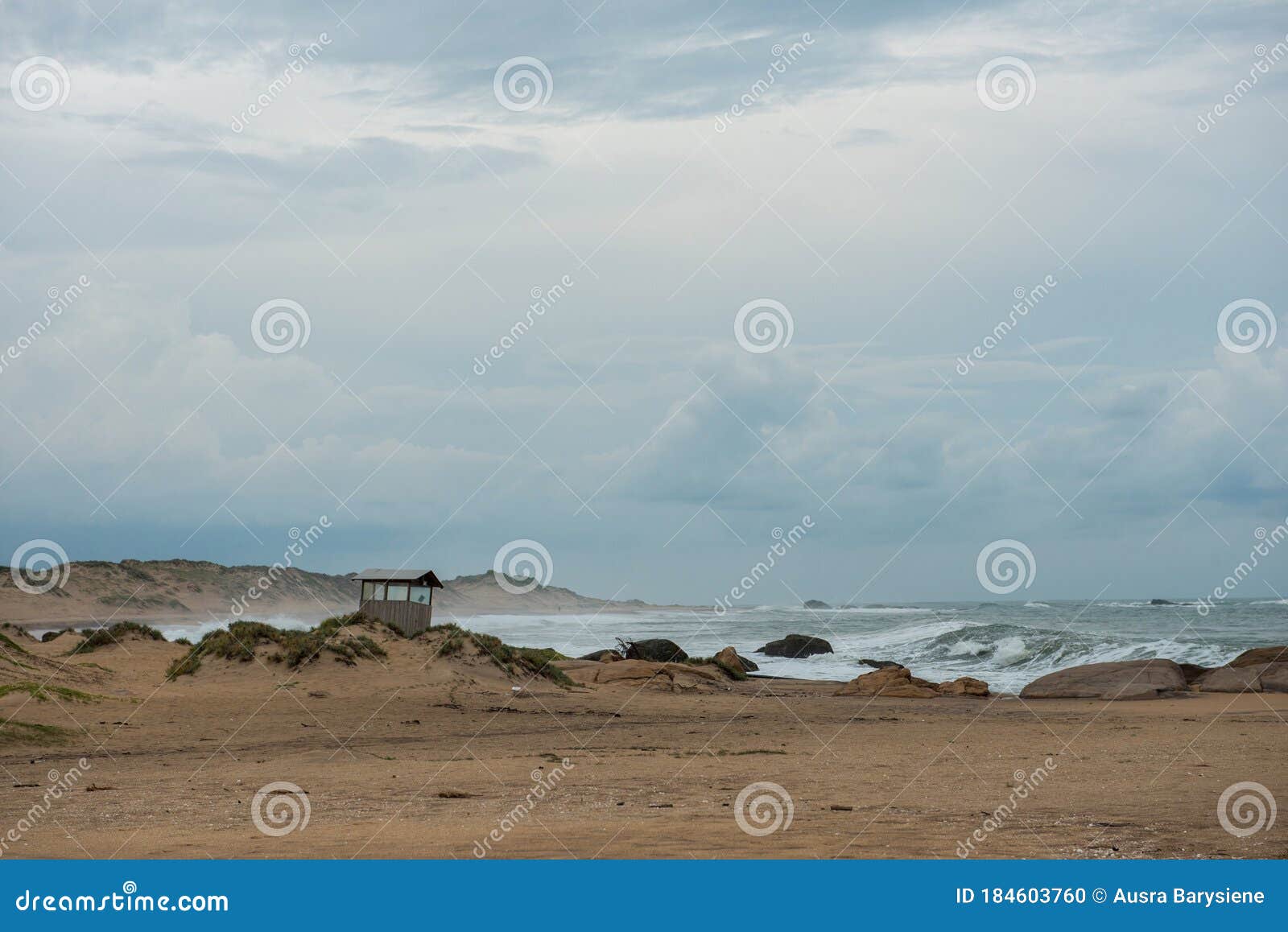 On the Beach in Yala National Park in Sri Lanka Stock Photo - Image of ...