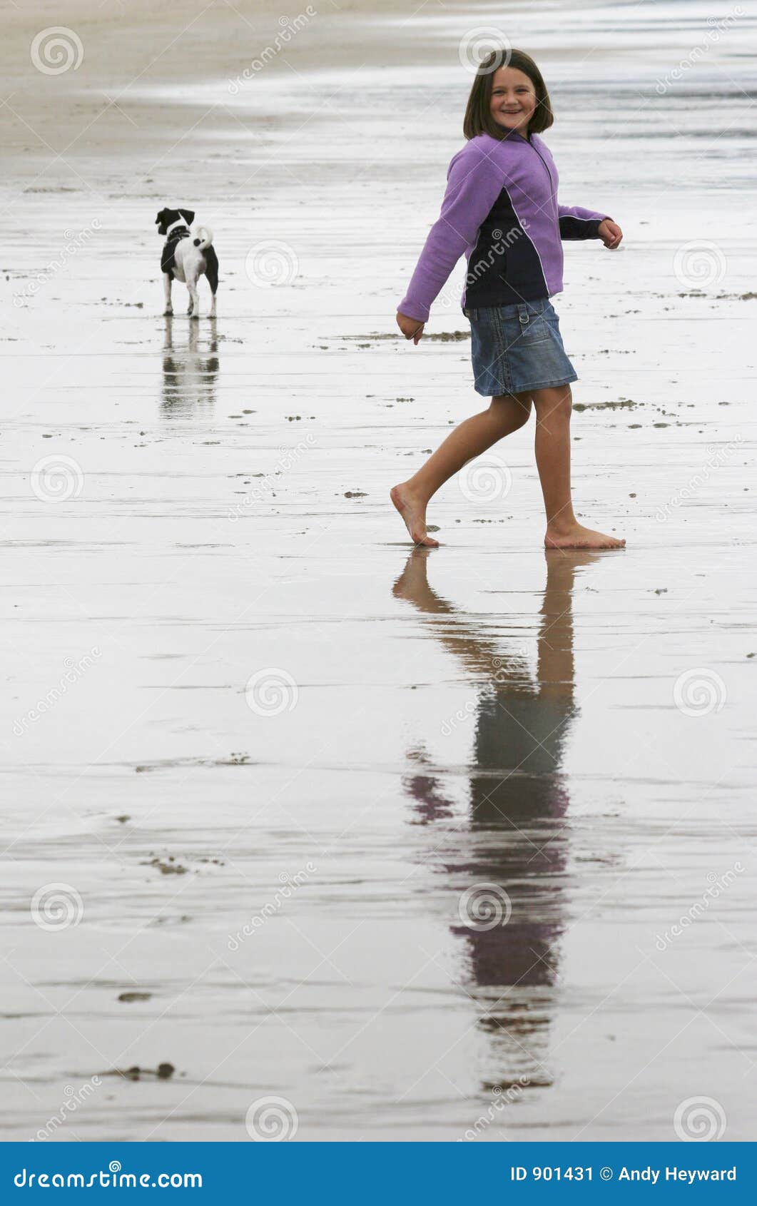 Beachcomber stock image. Image of stroll, play, curls, overcast - 901431