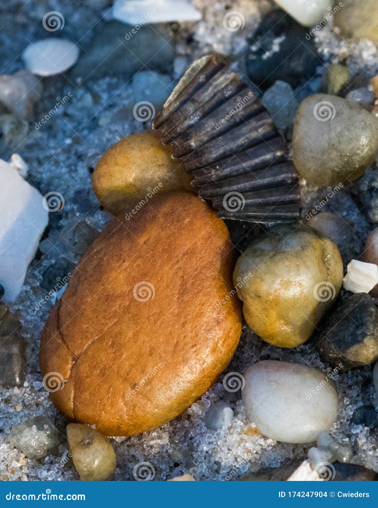 Beachcombing Collage at the Jersey Shore Stock Photo - Image of bits ...