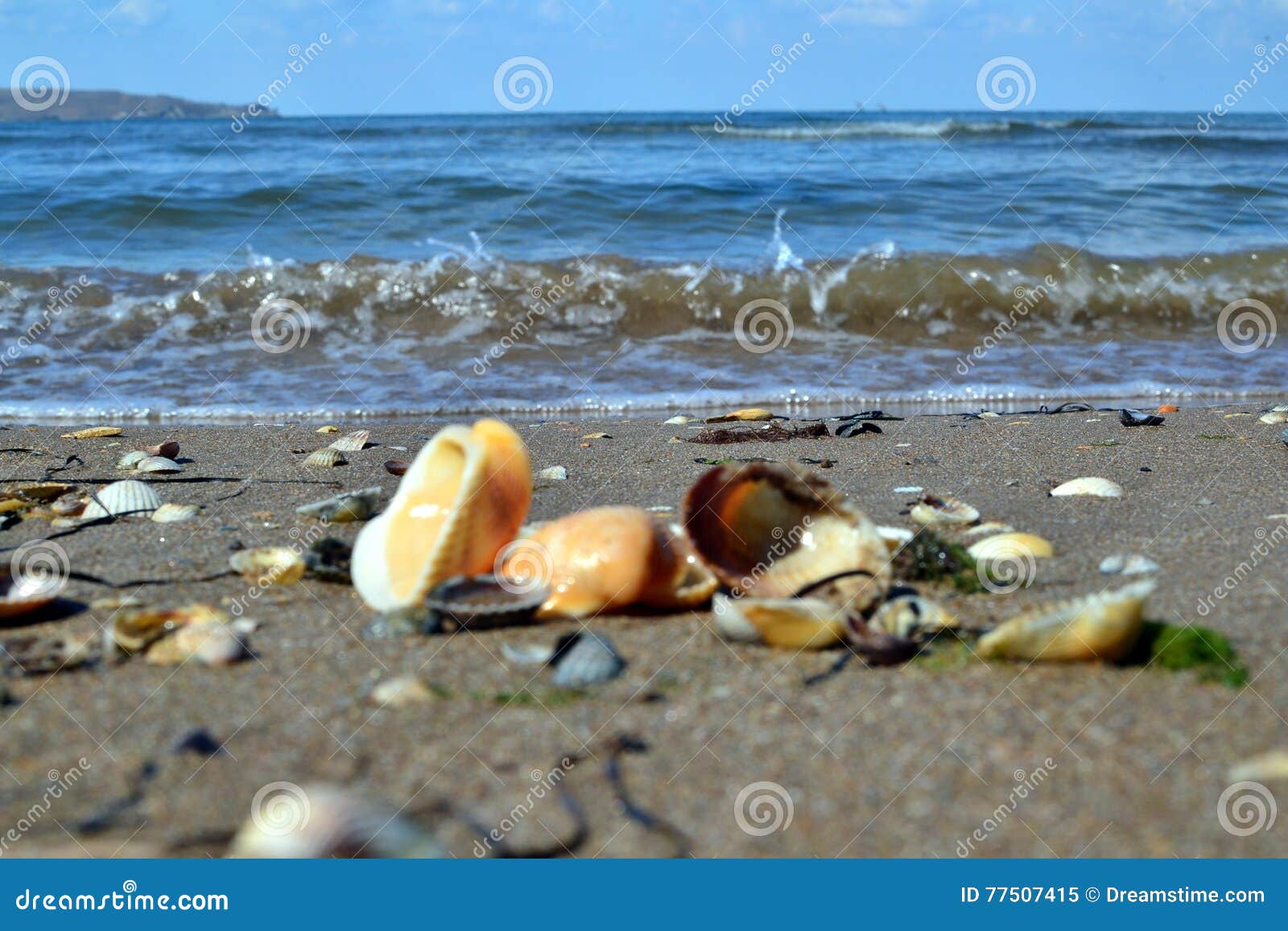 The Beaches of the Azov Sea. Stock Image - Image of shore, summer: 77507415