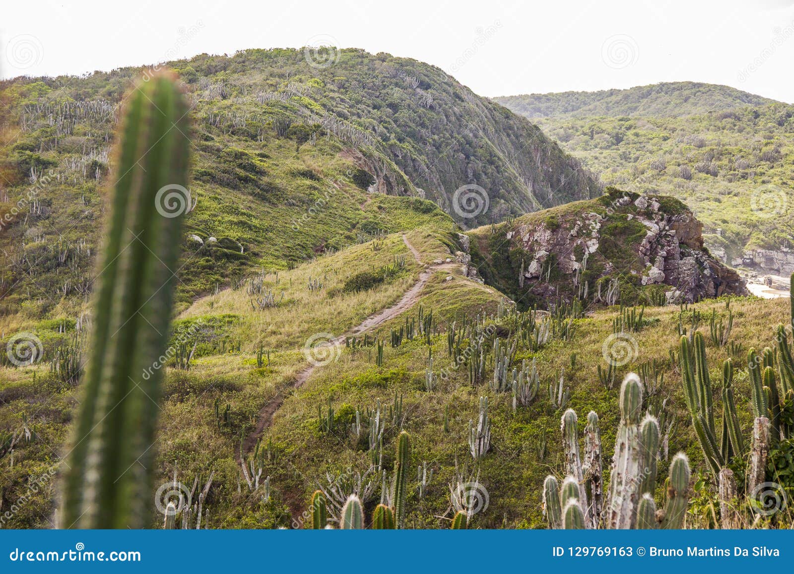 Of Beaches of Cold Cape in Rio De Janeiro Stock Image - Image of ...