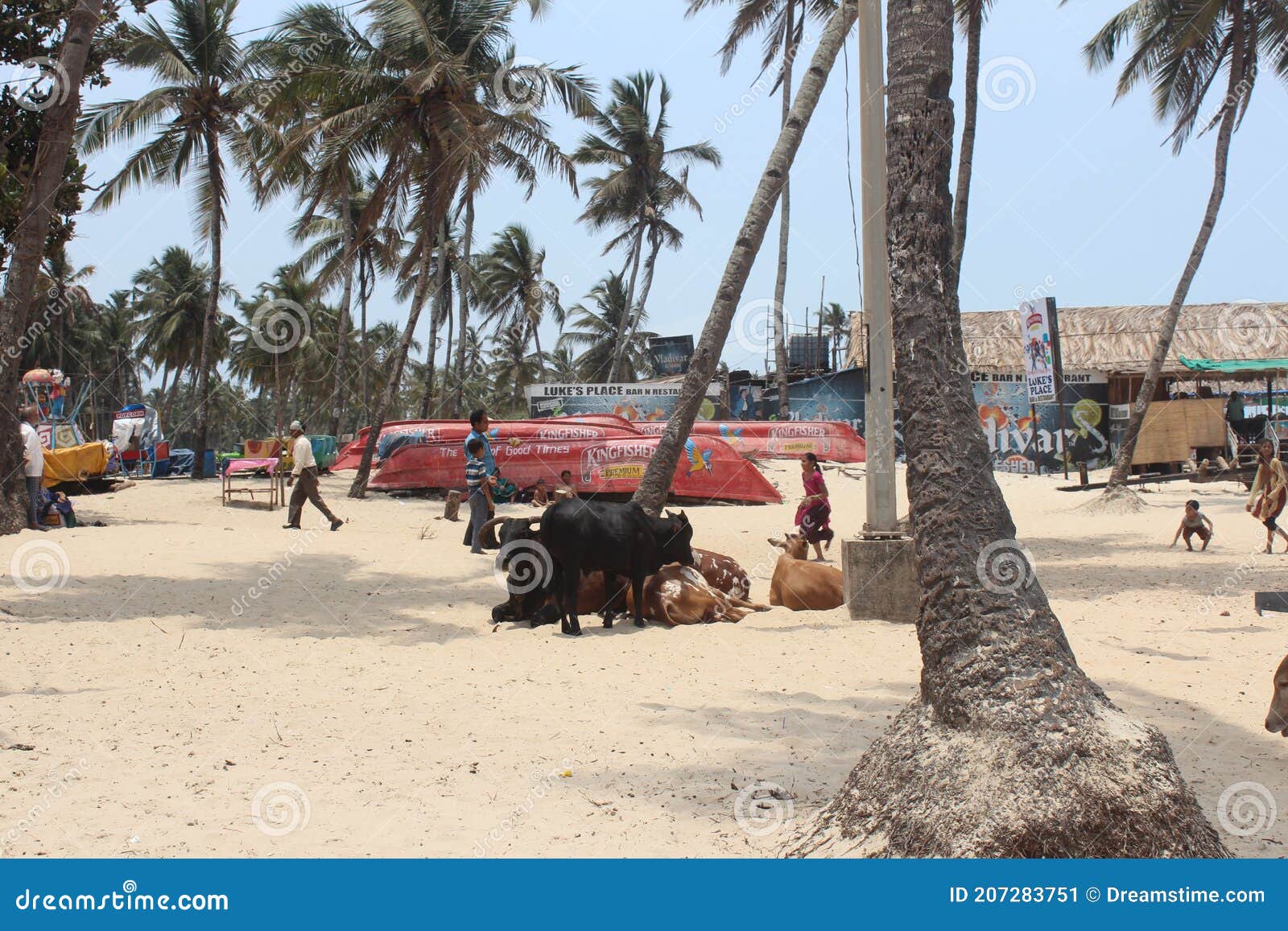 The beaches of Goa editorial photo. Image of vehicle - 207283751