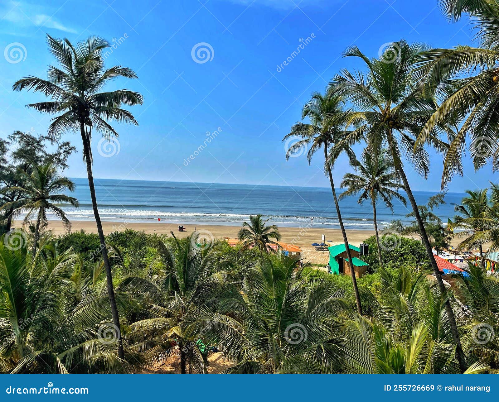 Beaches of Goa are Love of Life Stock Image - Image of tropics, resort ...
