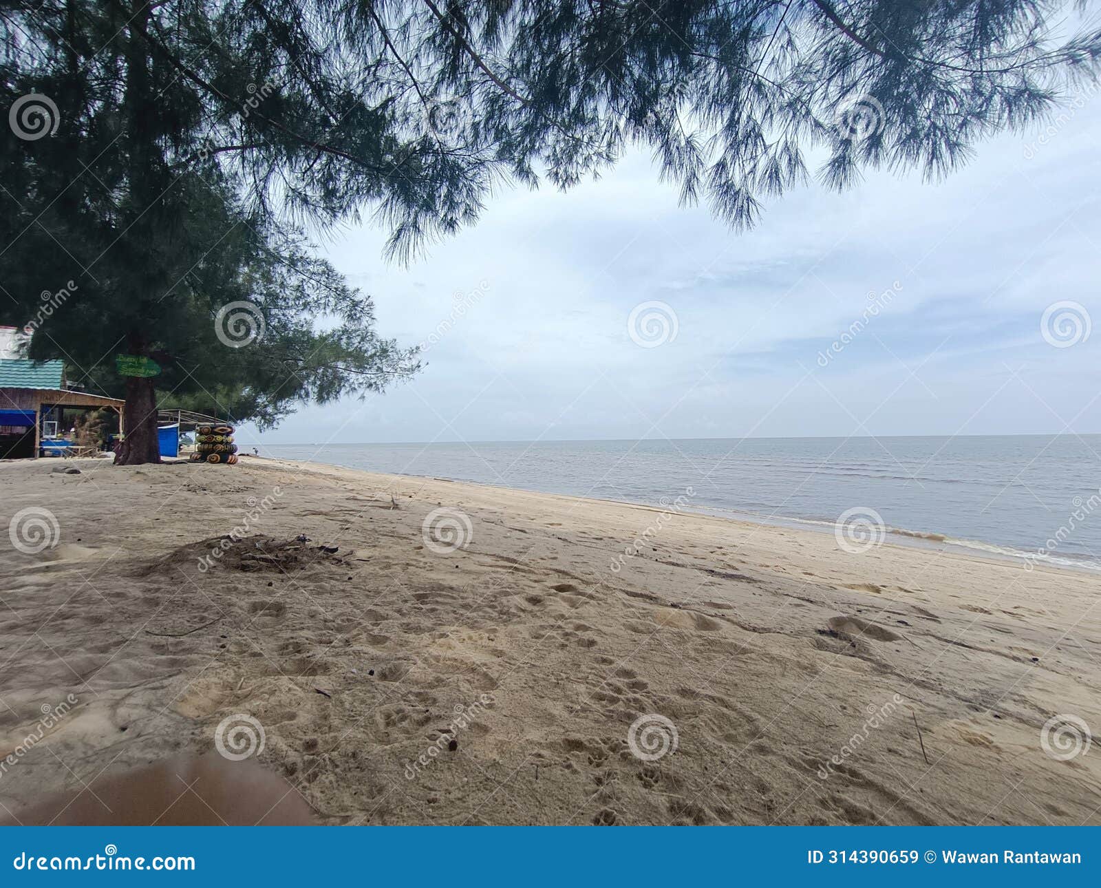 Beaches, Plants, Air, Wind, Water and Natural Beauty Stock Image ...