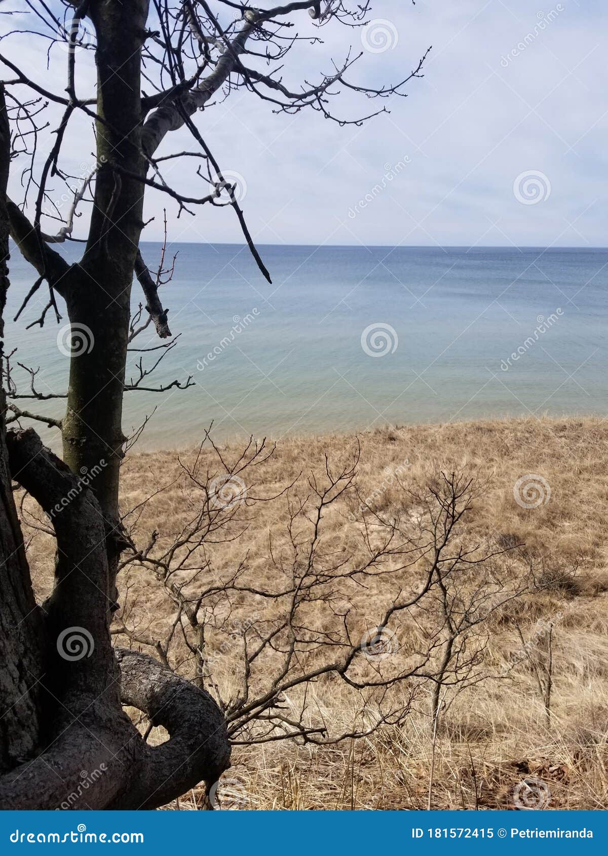 Beaches of Springtime stock image. Image of sunlight - 181572415