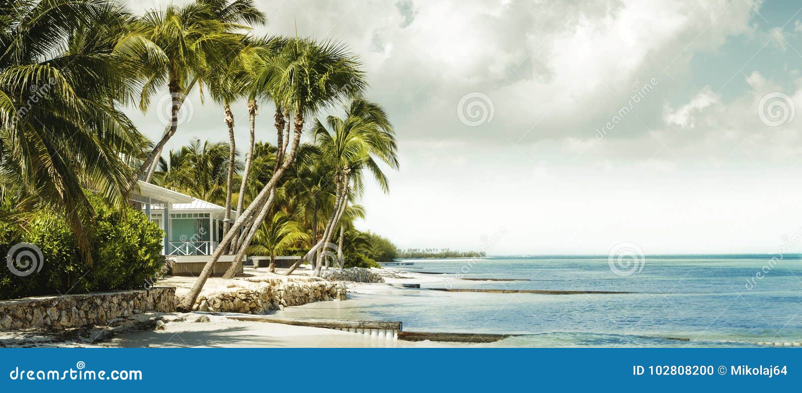Beachfront Bungalow Under Palm Trees Stock Photo - Image of idyllic ...
