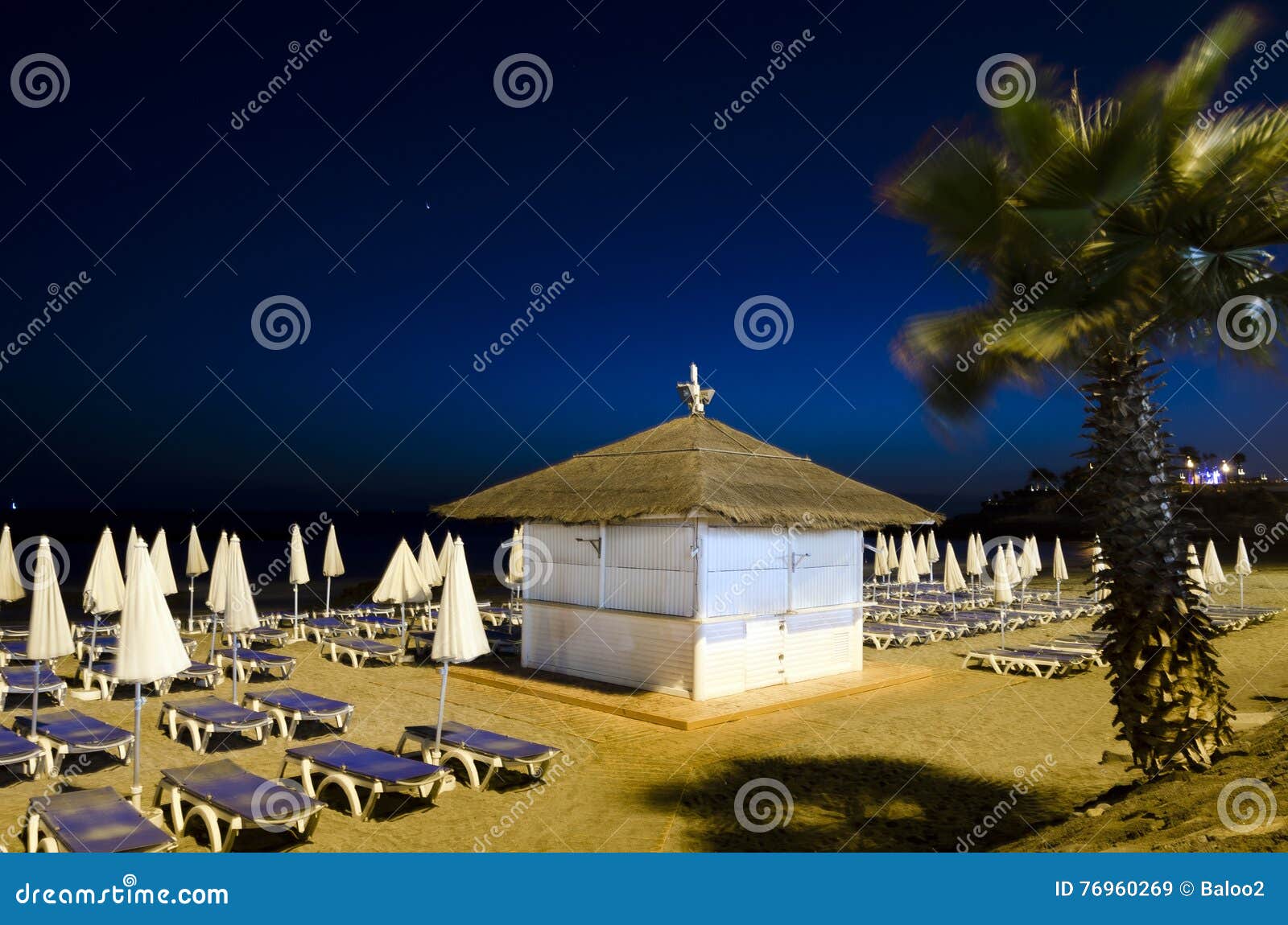 Beachfront at night stock image. Image of palm, coast - 76960269