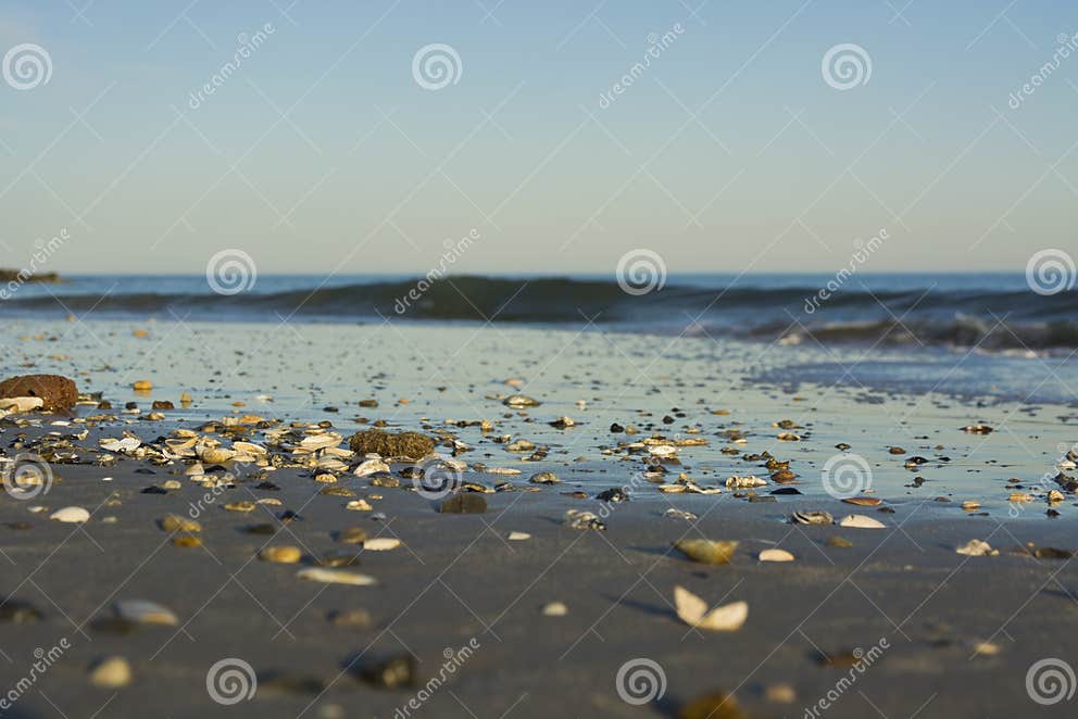 Beachscape stock image. Image of reflects, morning, dawn - 49068009