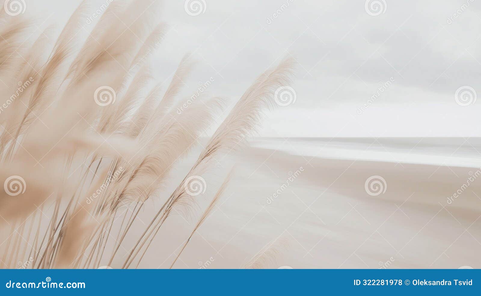 Beachscape With Soft Beige Colors And Pampas Grass Royalty-Free Stock ...